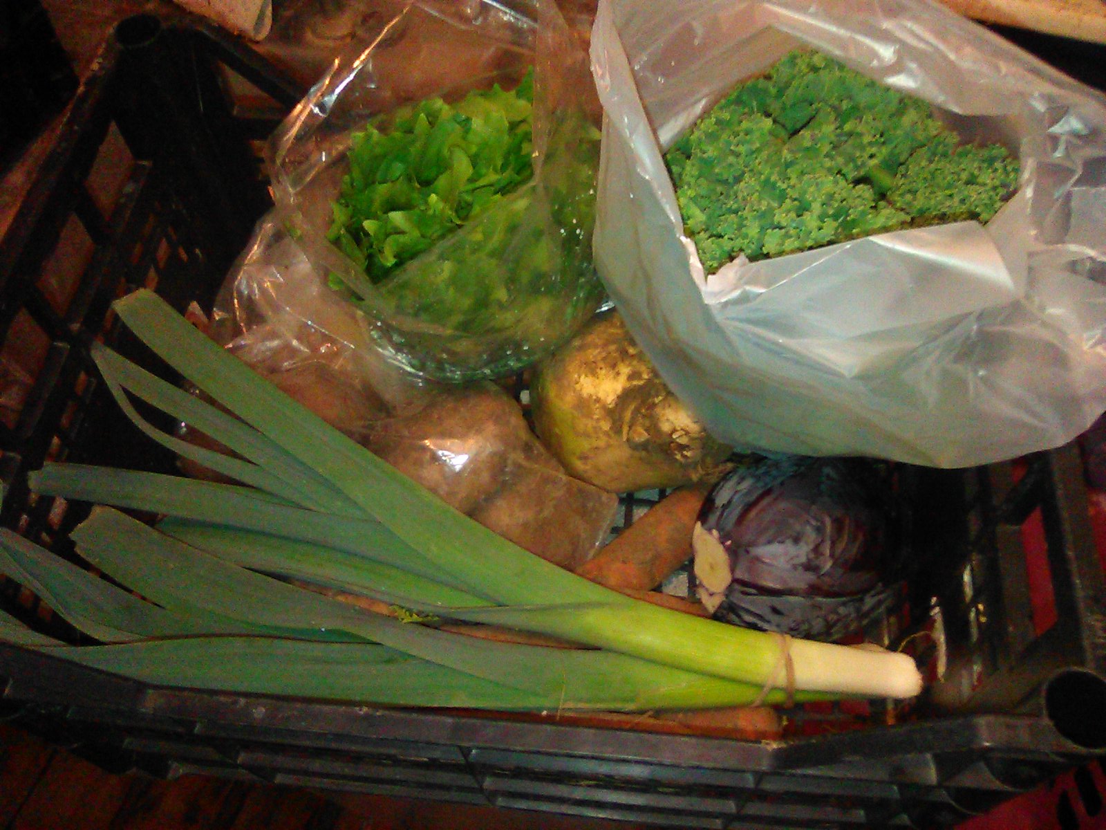 How to stop the give away veg. | The Farming Forum