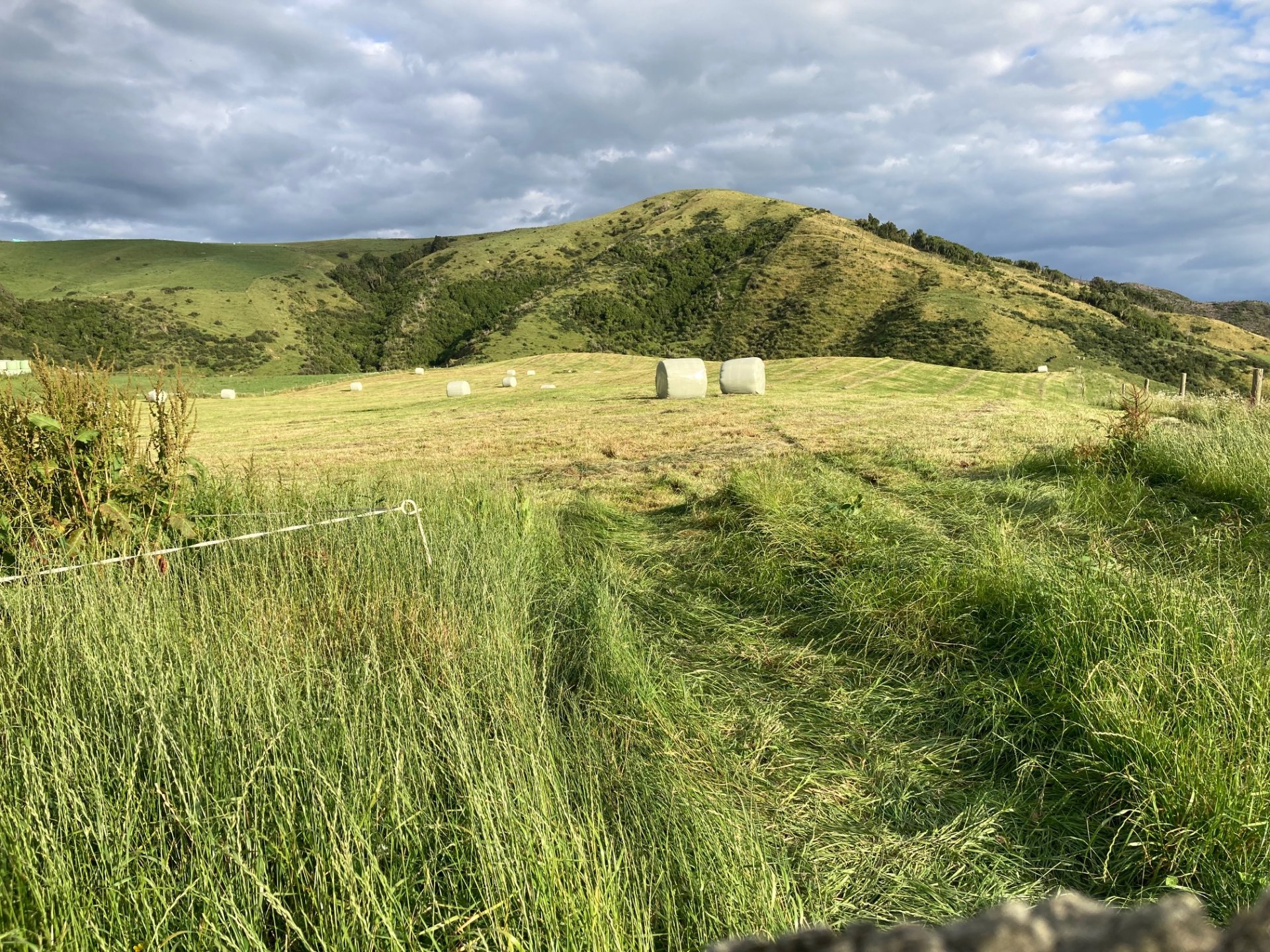 Today at work | Page 7217 | The Farming Forum