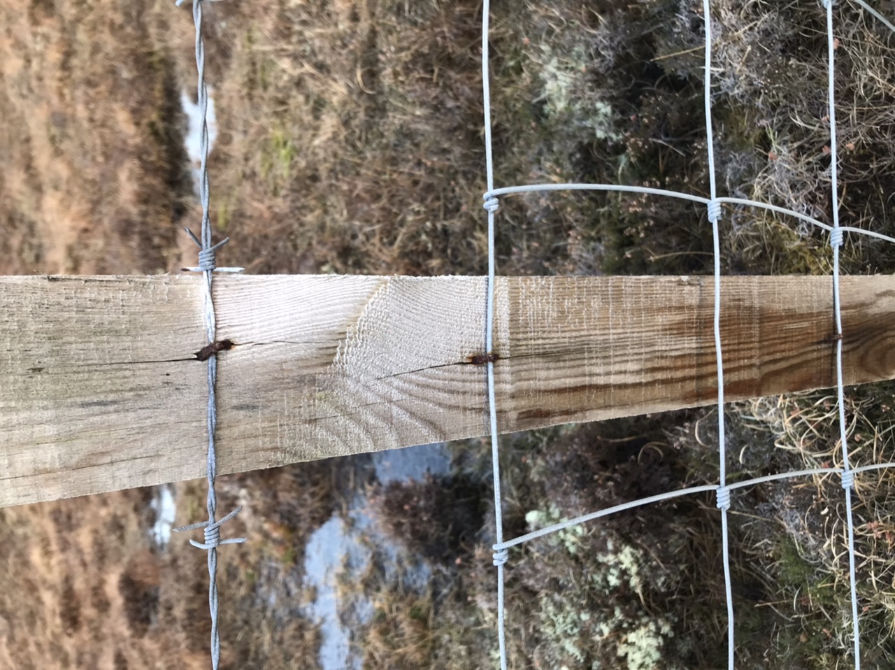 The Fencing Picture Thread | Page 107 | The Farming Forum