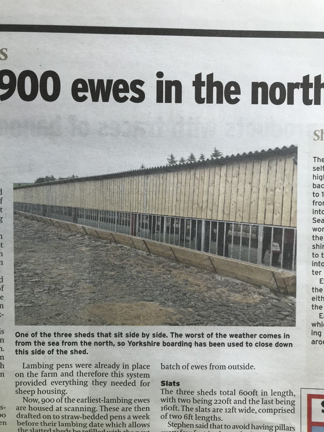 Sheep slatted shed design | Page 6 | The Farming Forum