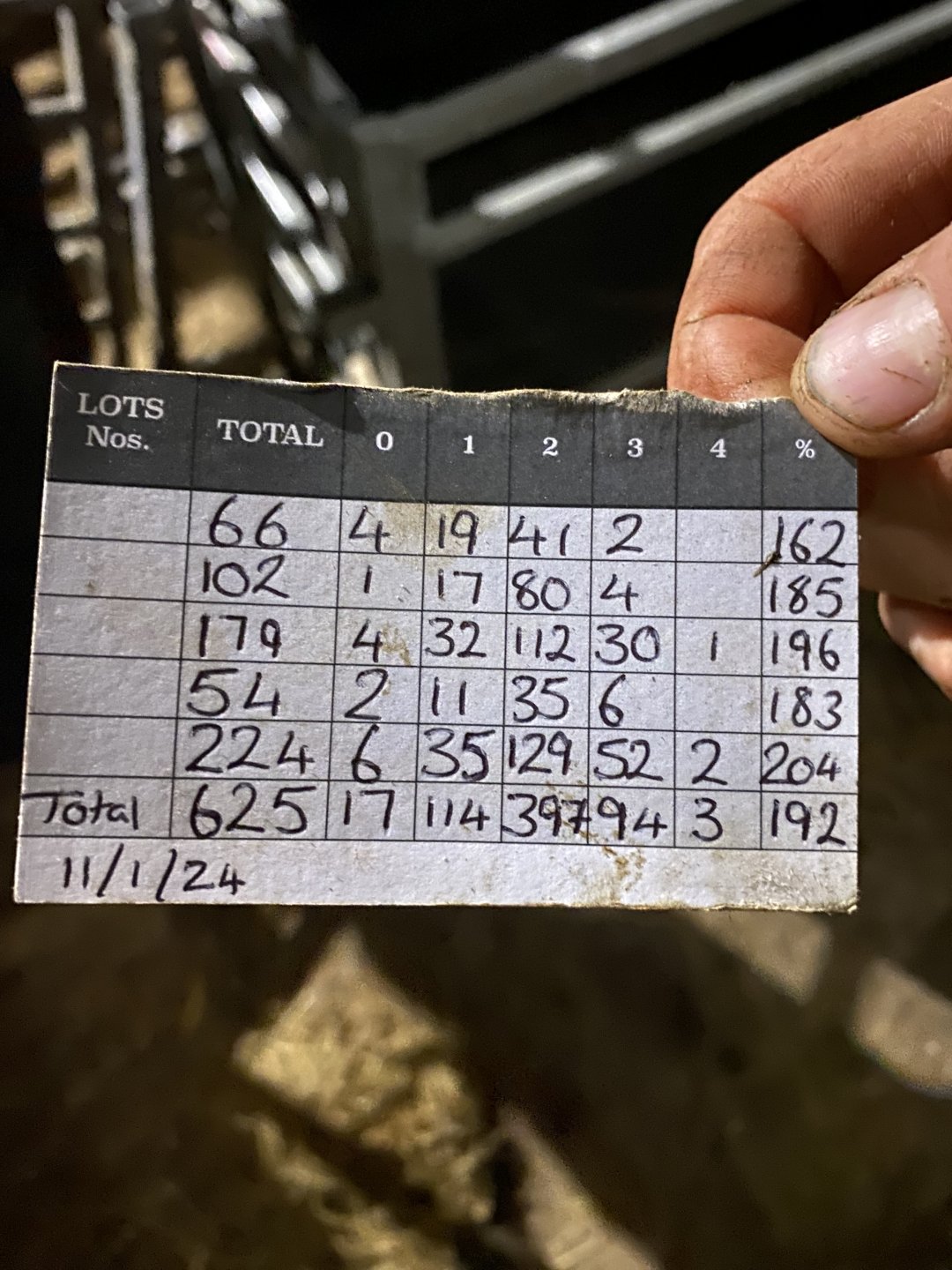 Sheep Scanning | Page 20 | The Farming Forum