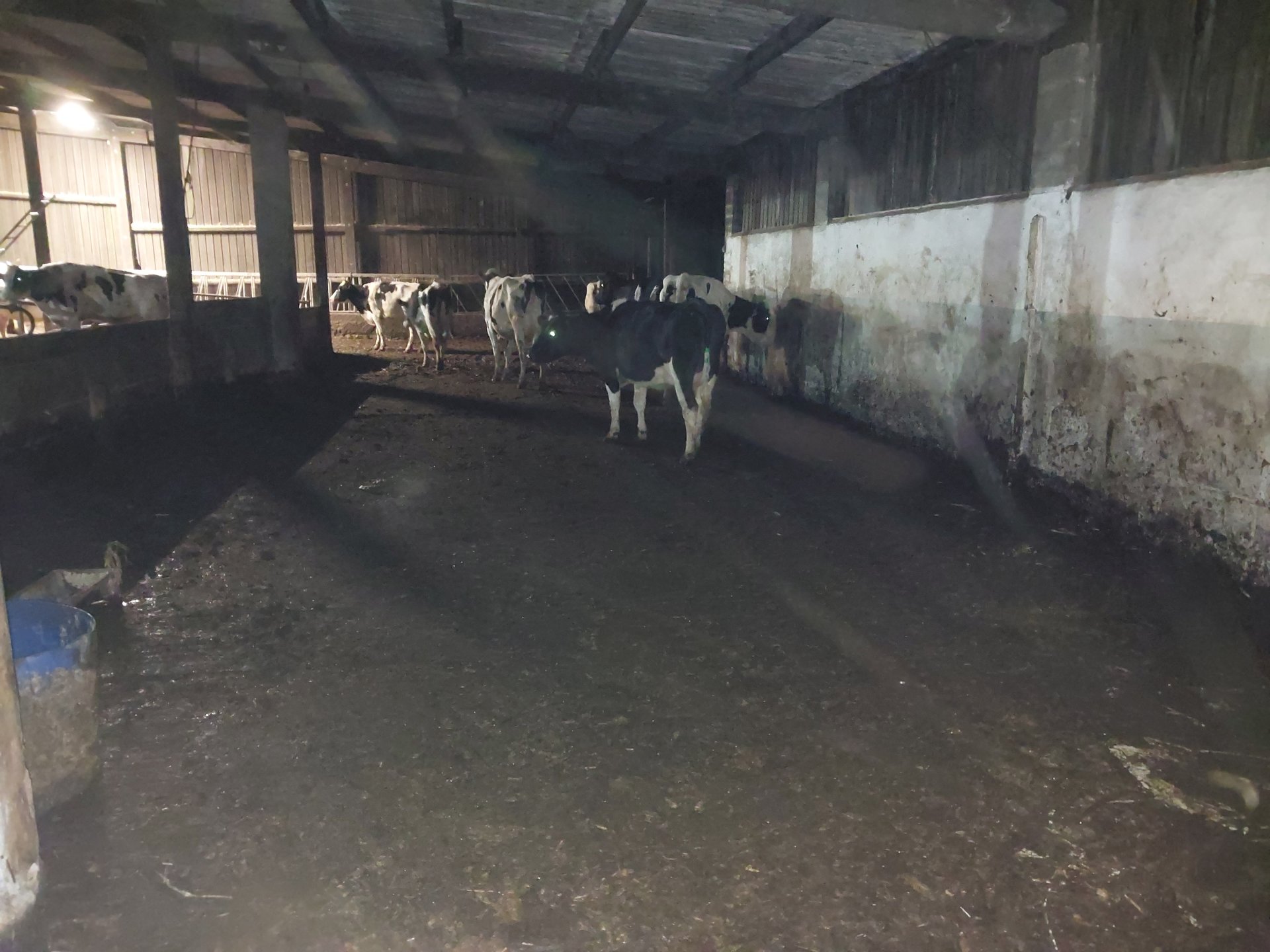 All things Dairy | Page 3221 | The Farming Forum