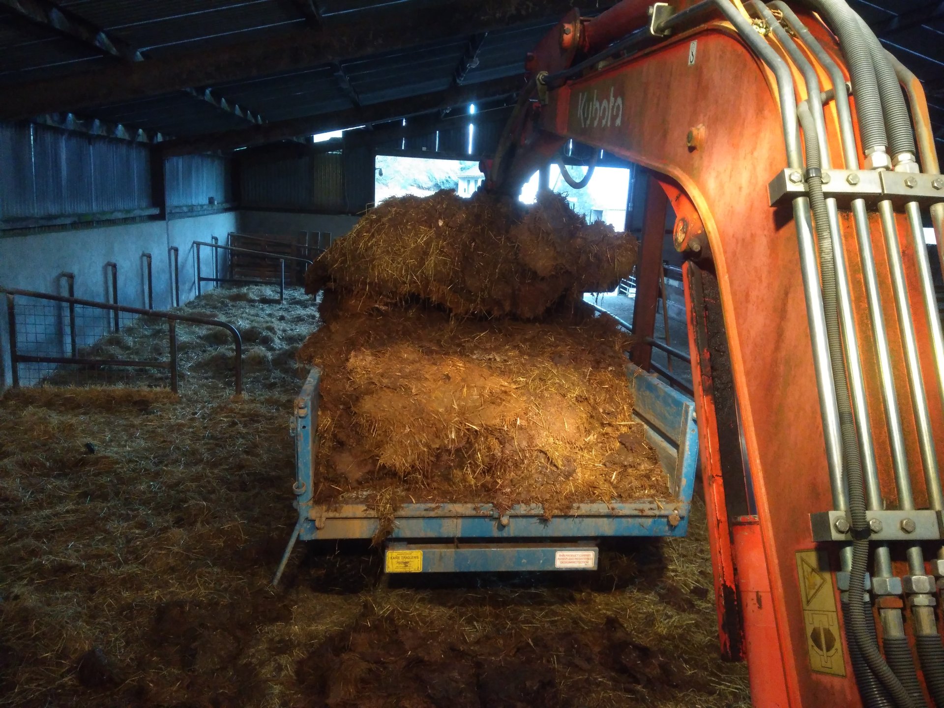 Sheep in ! | Page 7 | The Farming Forum