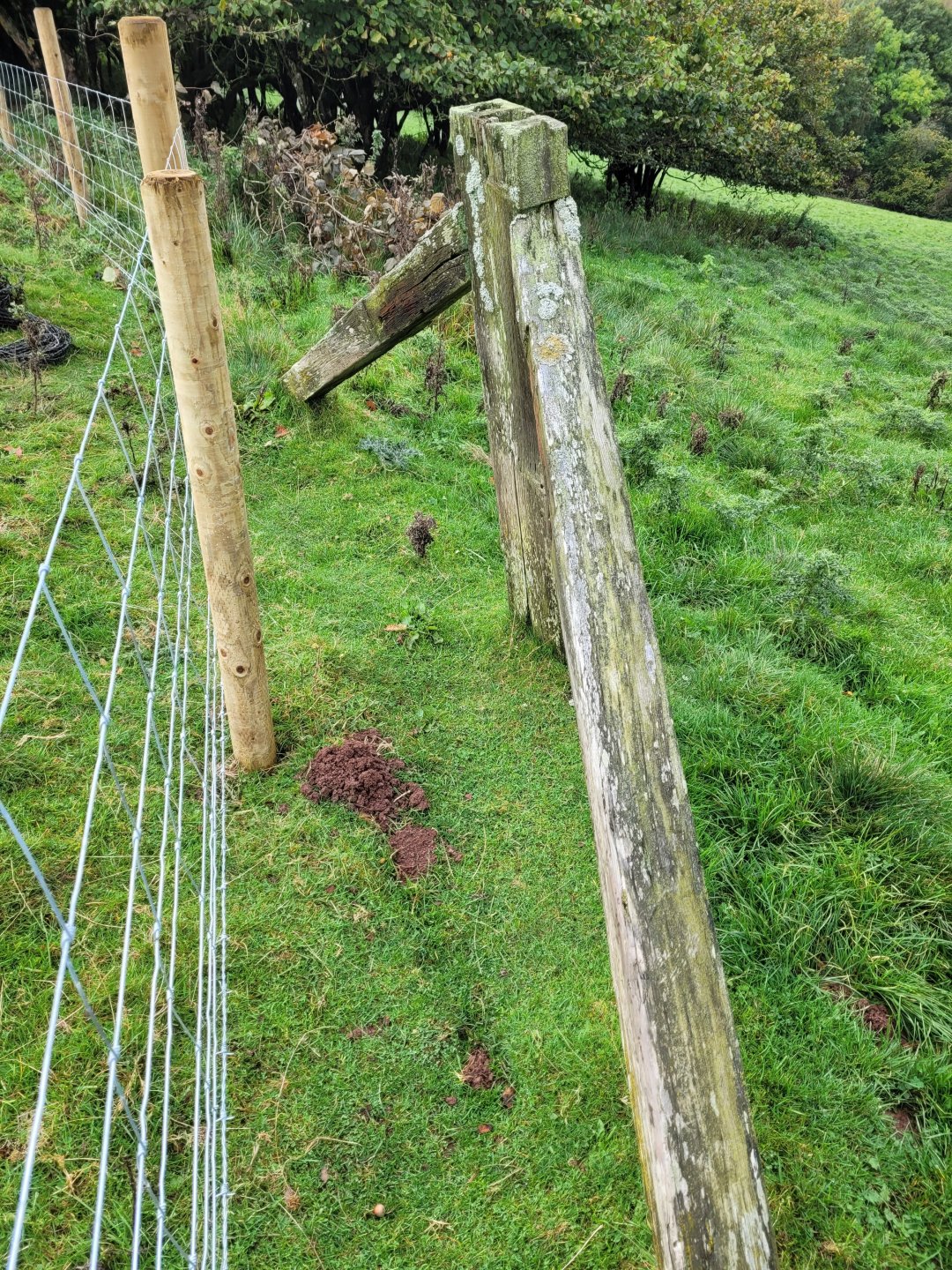 Quick Fencing question | The Farming Forum
