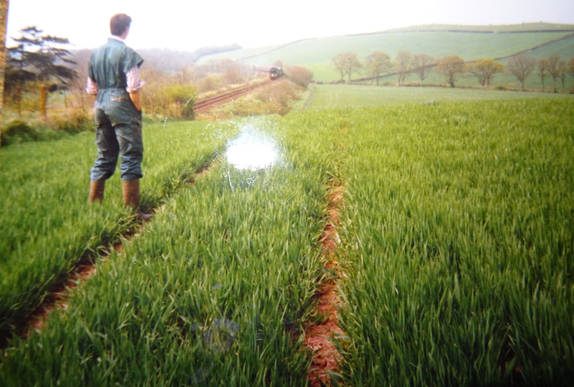 My local railway station | Page 2 | The Farming Forum