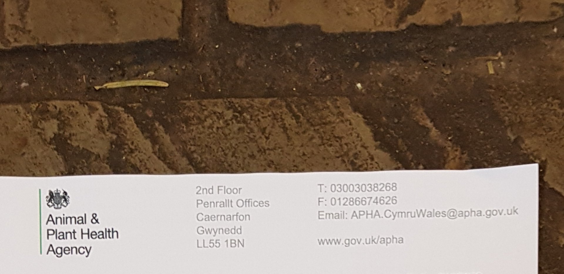 APHA Registration. | The Farming Forum