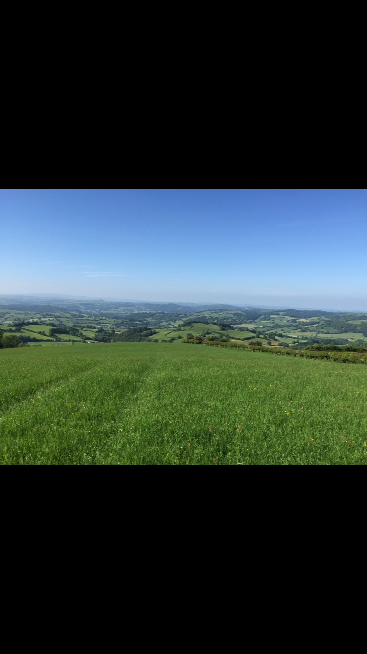 Do we need to alter the landscape of wales? | The Farming Forum