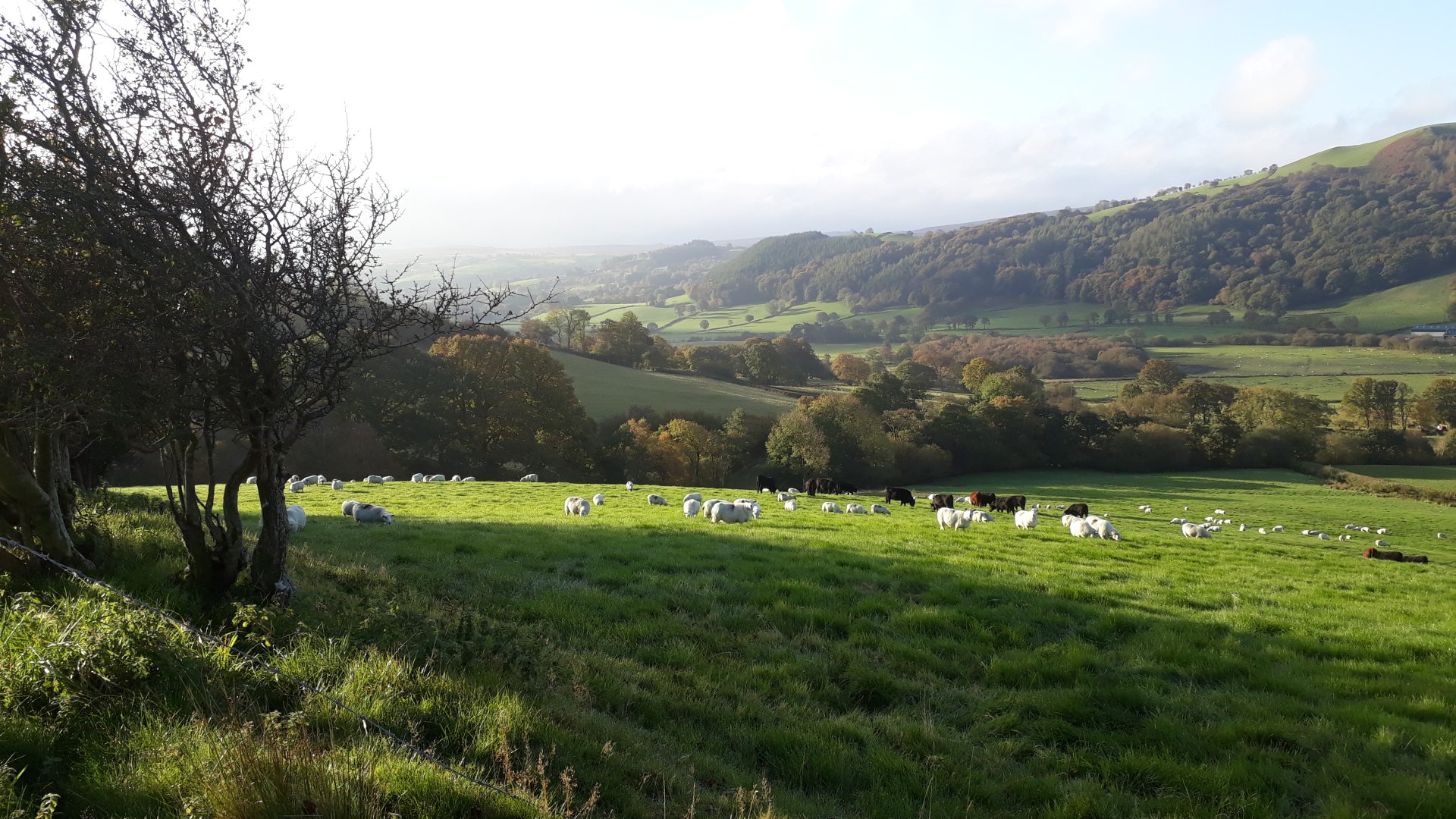 Do we need to alter the landscape of wales? | The Farming Forum