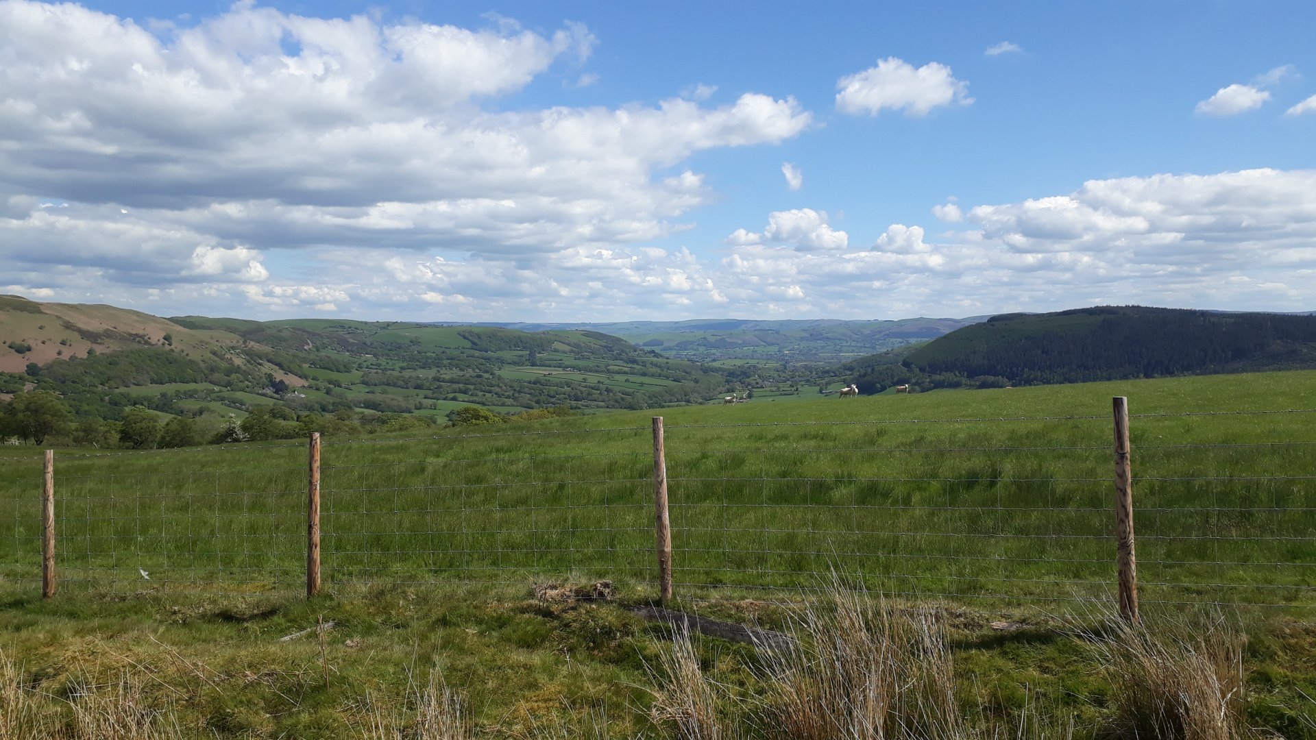 Do we need to alter the landscape of wales? | The Farming Forum