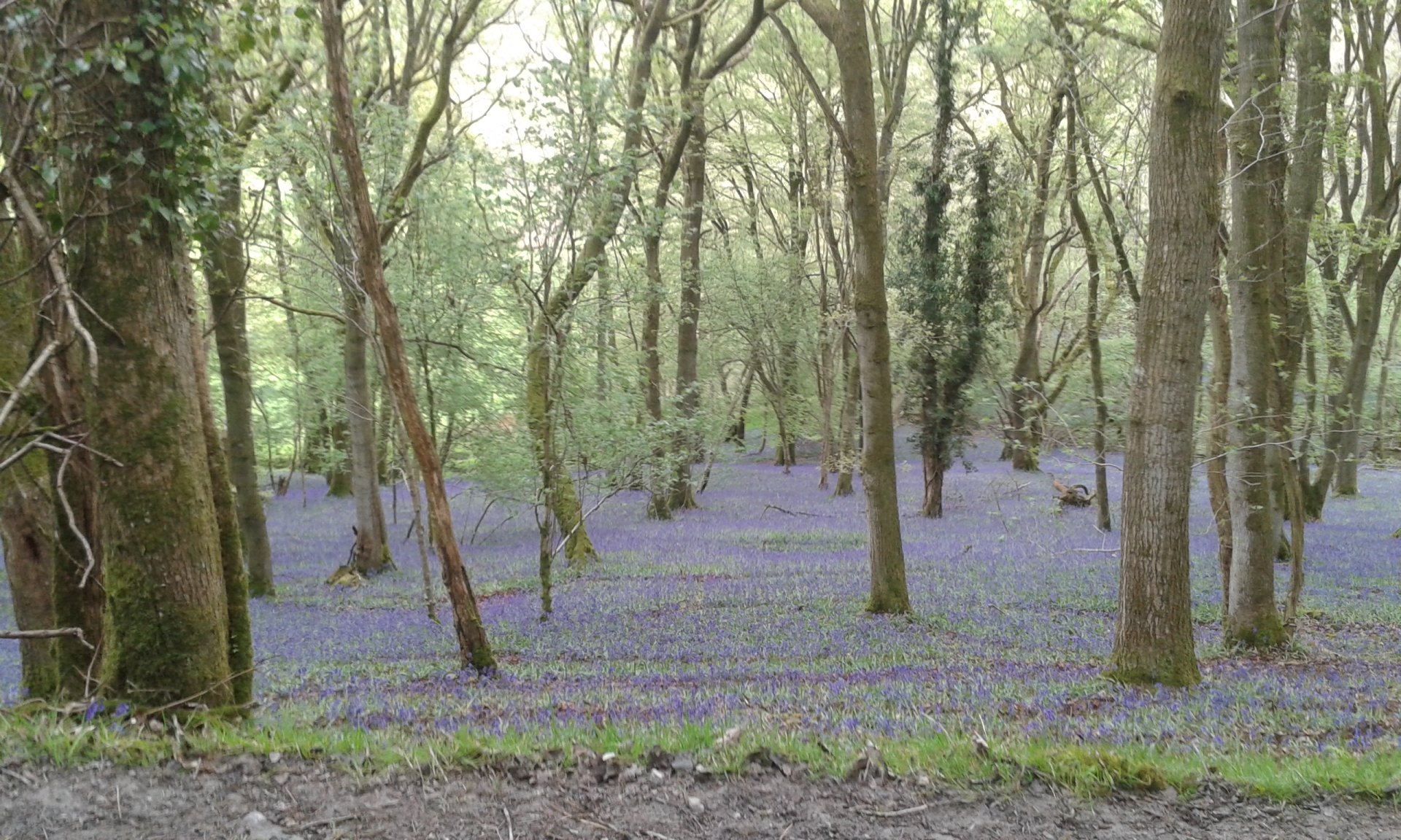 Do we need to alter the landscape of wales? | The Farming Forum