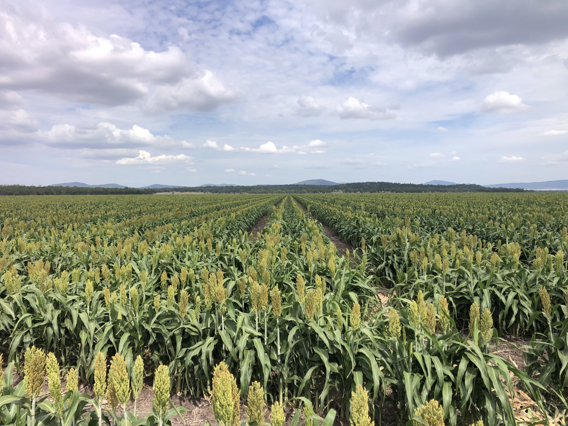 Today at work | Page 7279 | The Farming Forum