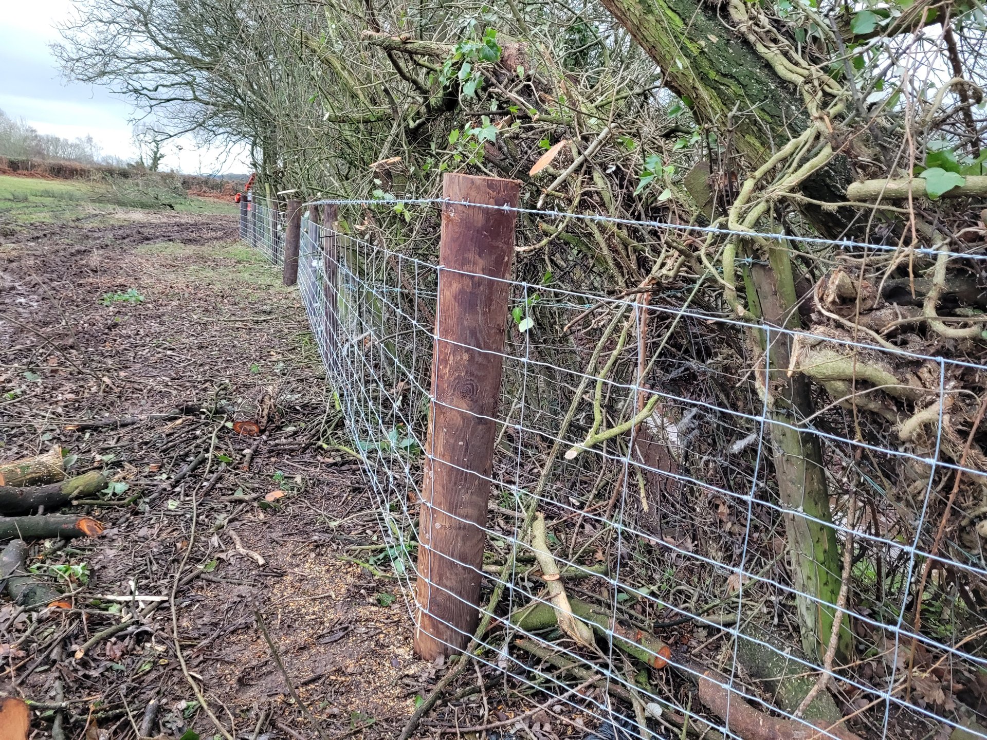 The Fencing Picture Thread | Page 107 | The Farming Forum