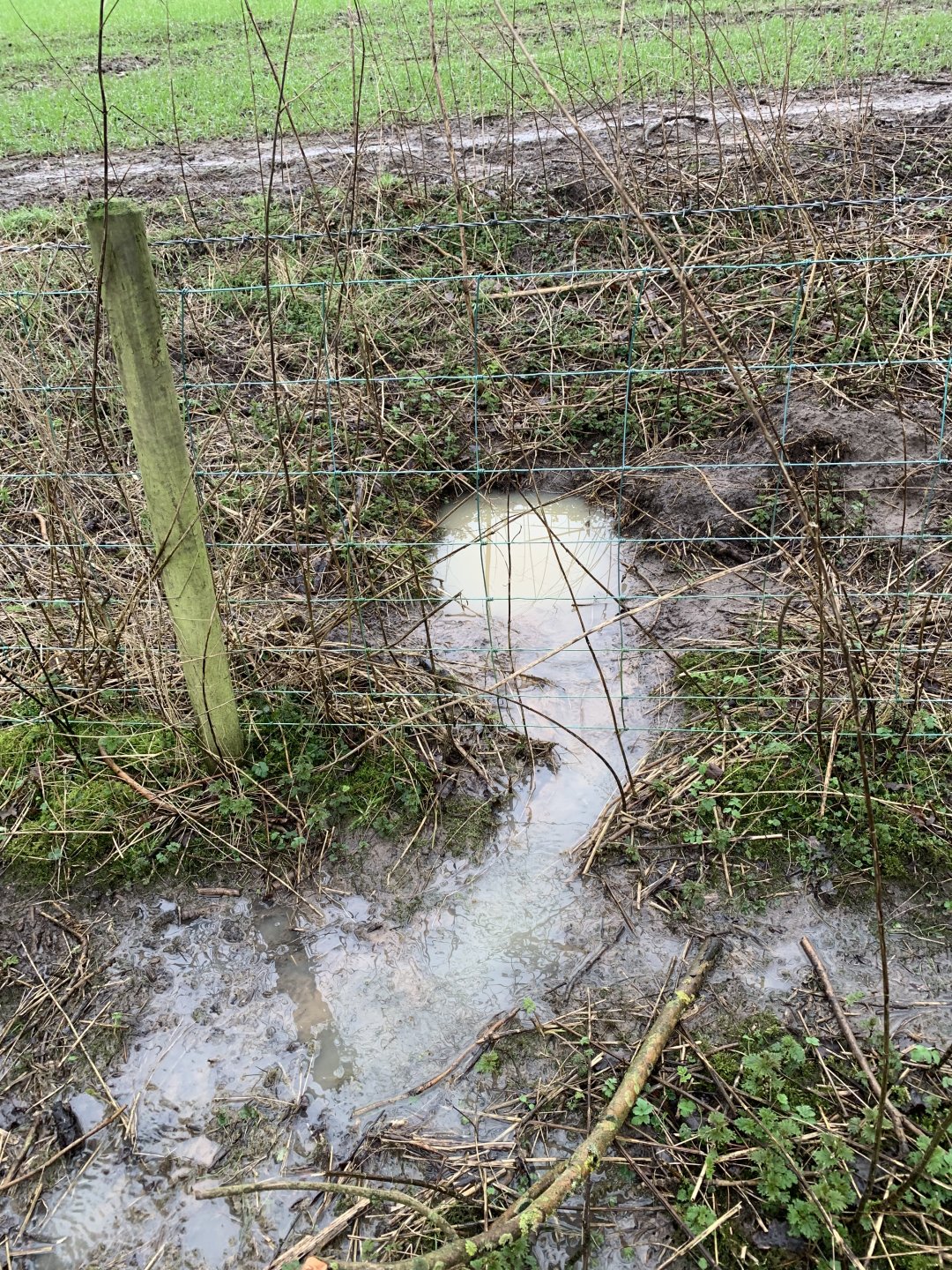 Rewetting - What it really means. | Page 2 | The Farming Forum