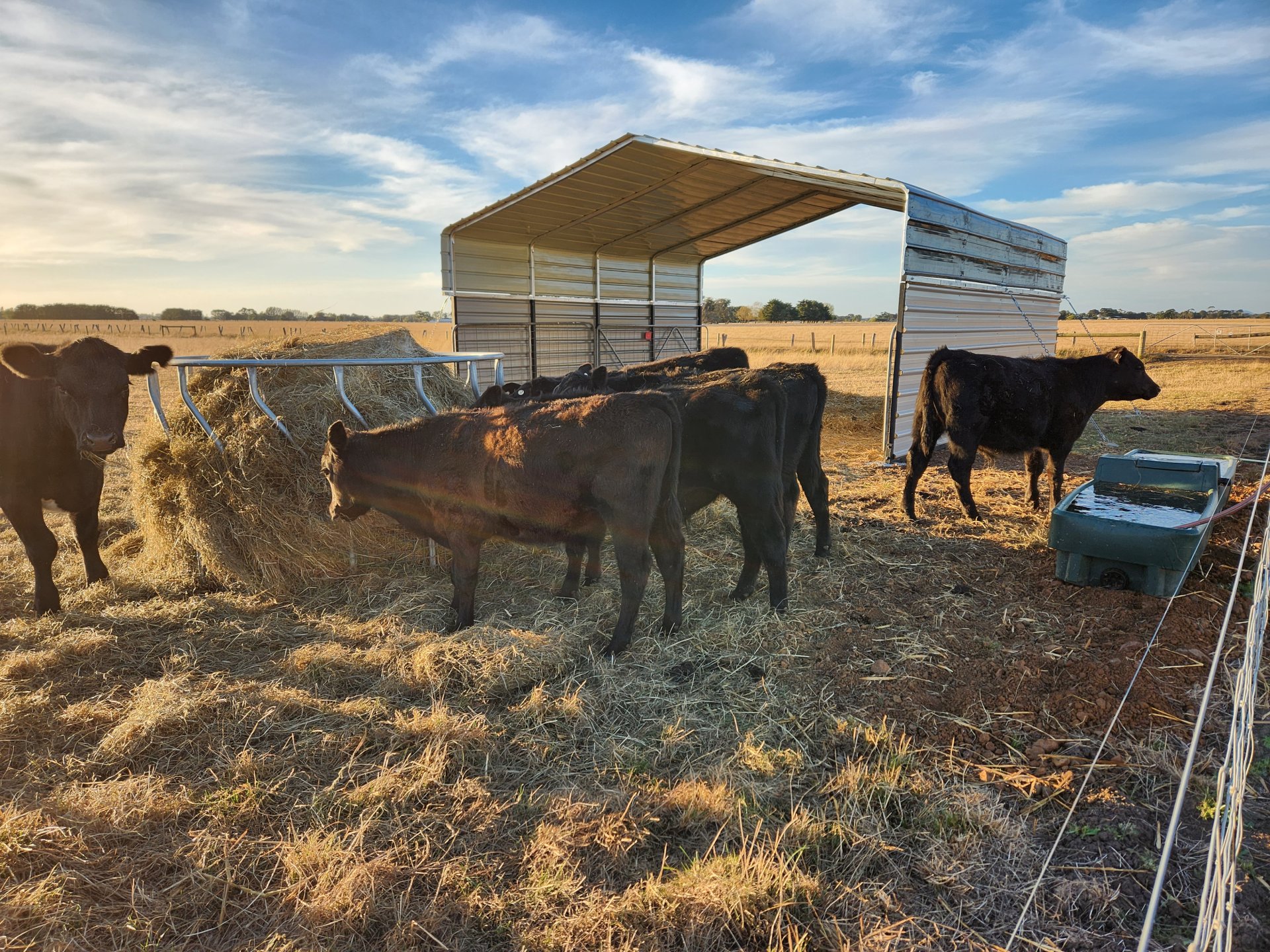 New farm, the journey begins! | Page 35 | The Farming Forum