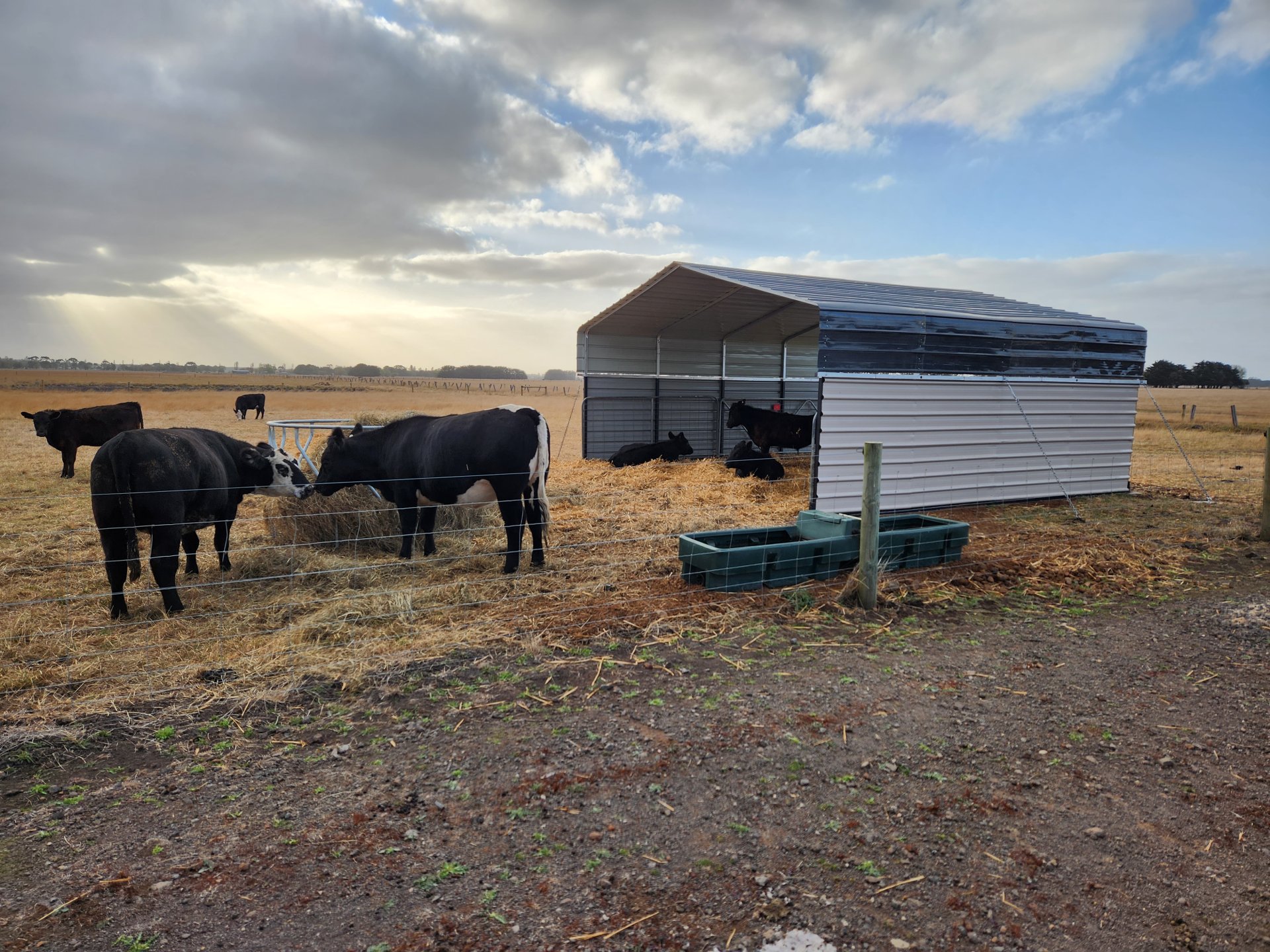 New farm, the journey begins! | Page 35 | The Farming Forum