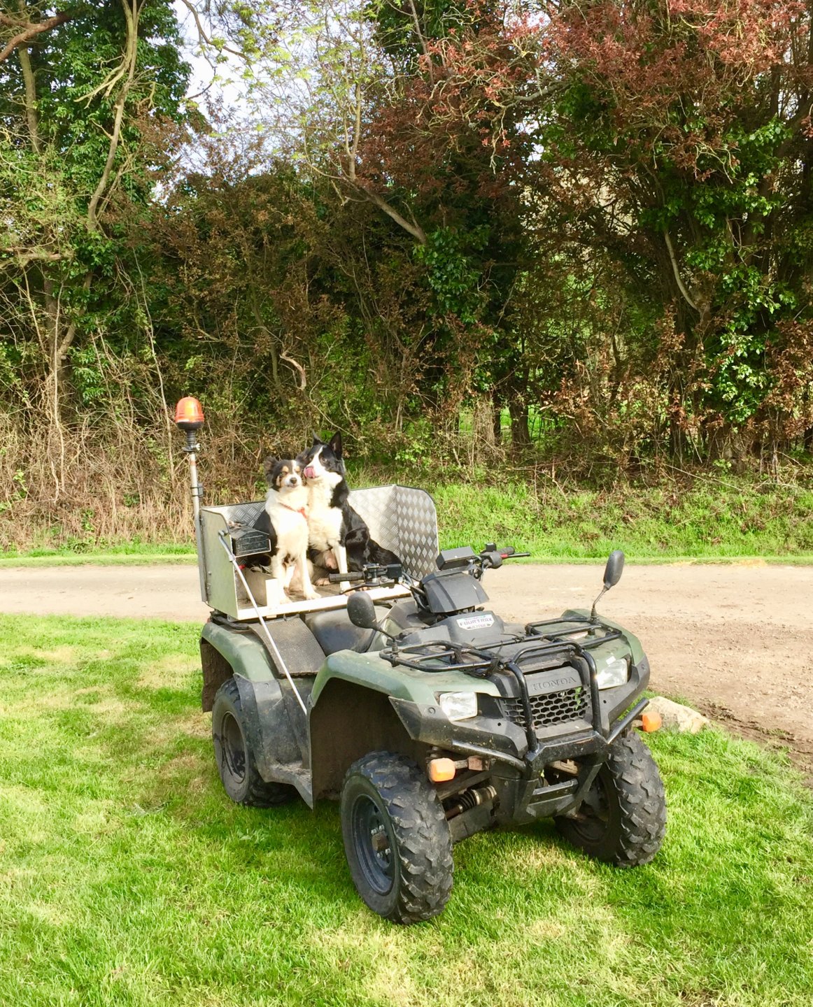 The Farm Dog | Page 136 | The Farming Forum
