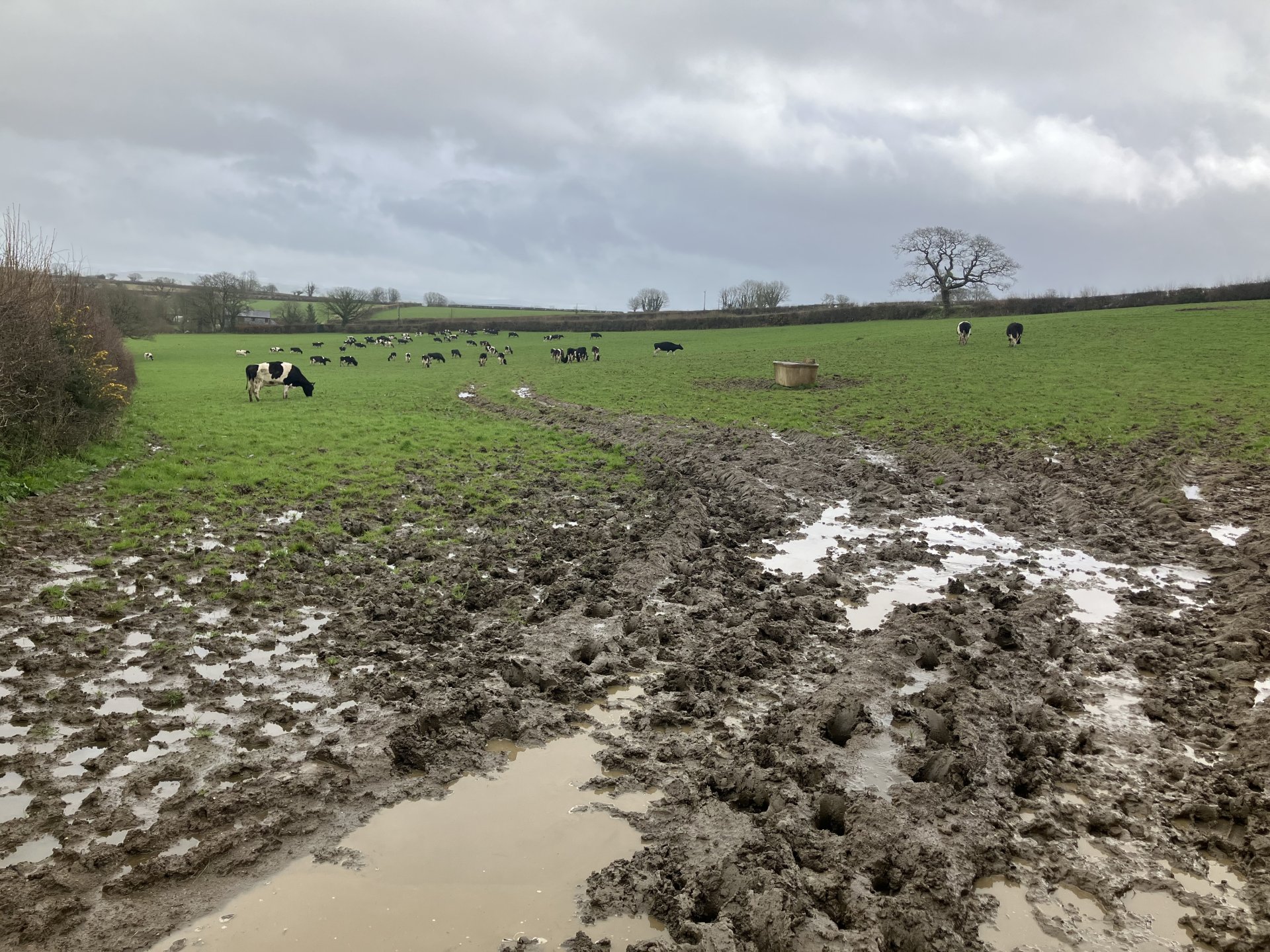All things Dairy | Page 3262 | The Farming Forum