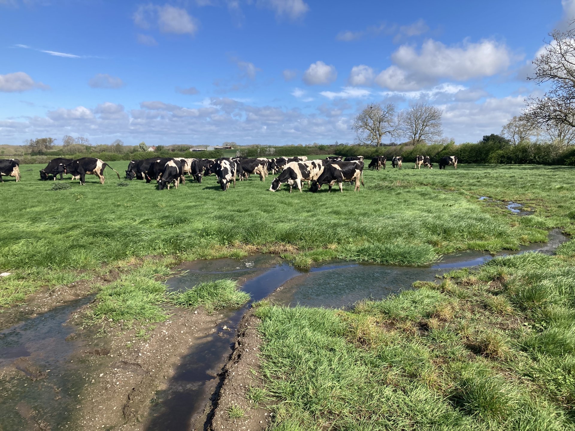 All things Dairy | Page 3282 | The Farming Forum