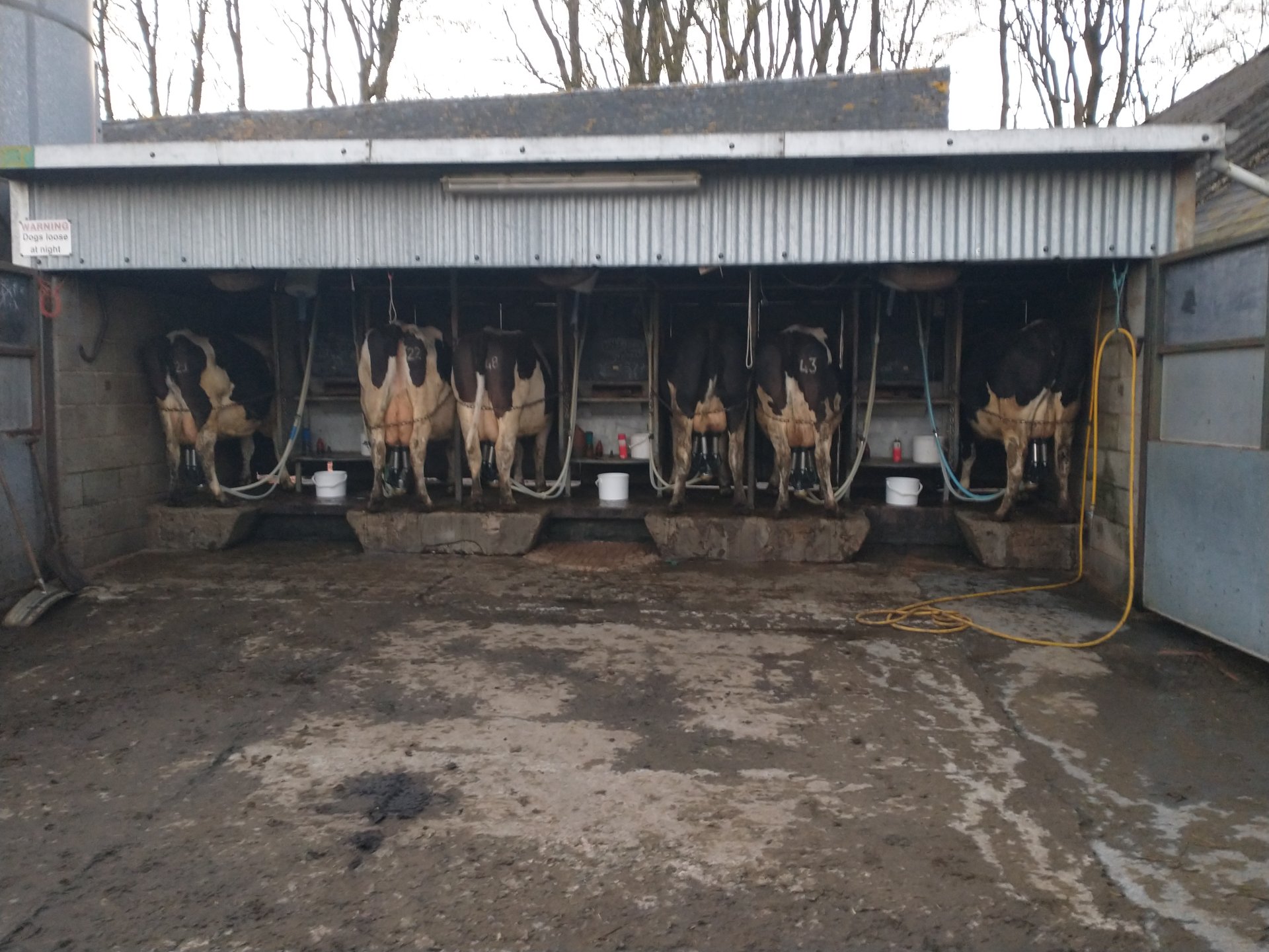 All things Dairy | Page 3285 | The Farming Forum