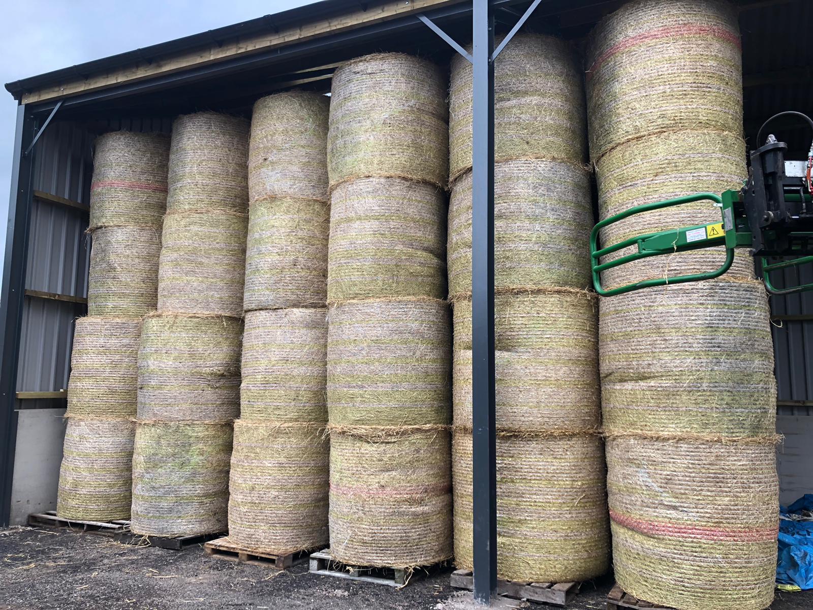 Moldy hay | Page 2 | The Farming Forum