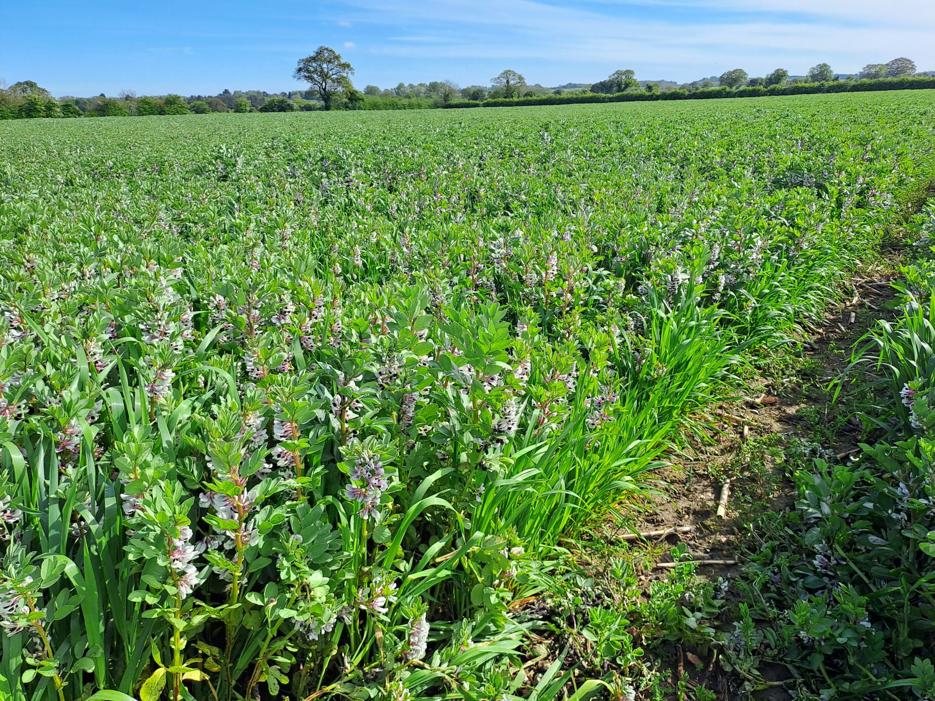 Today at work | Page 7392 | The Farming Forum