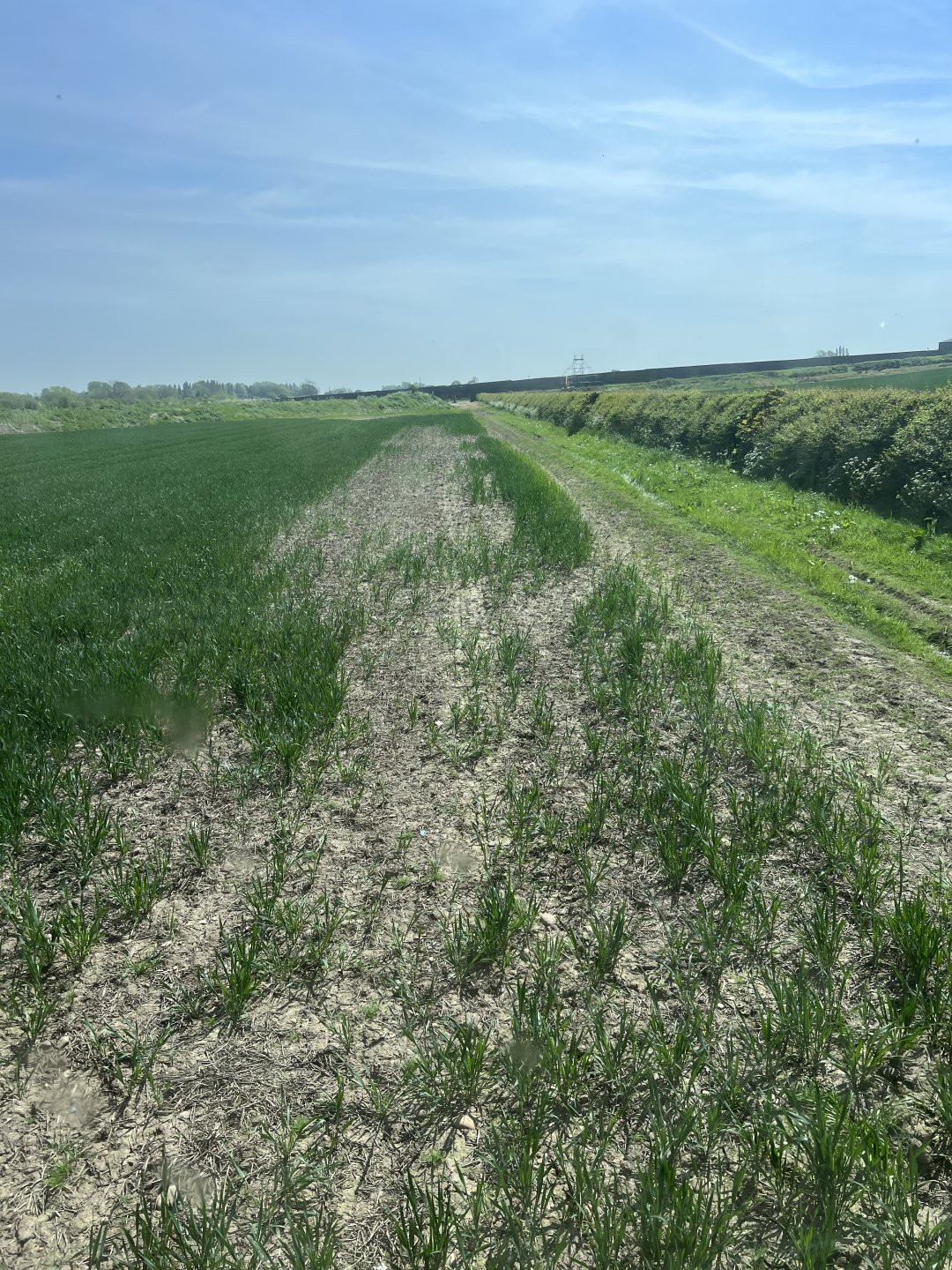 Triton direct seed drill | Page 82 | The Farming Forum