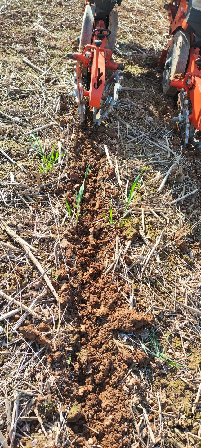 Direct/Strip-till drilling photo gallery | Page 148 | The Farming Forum