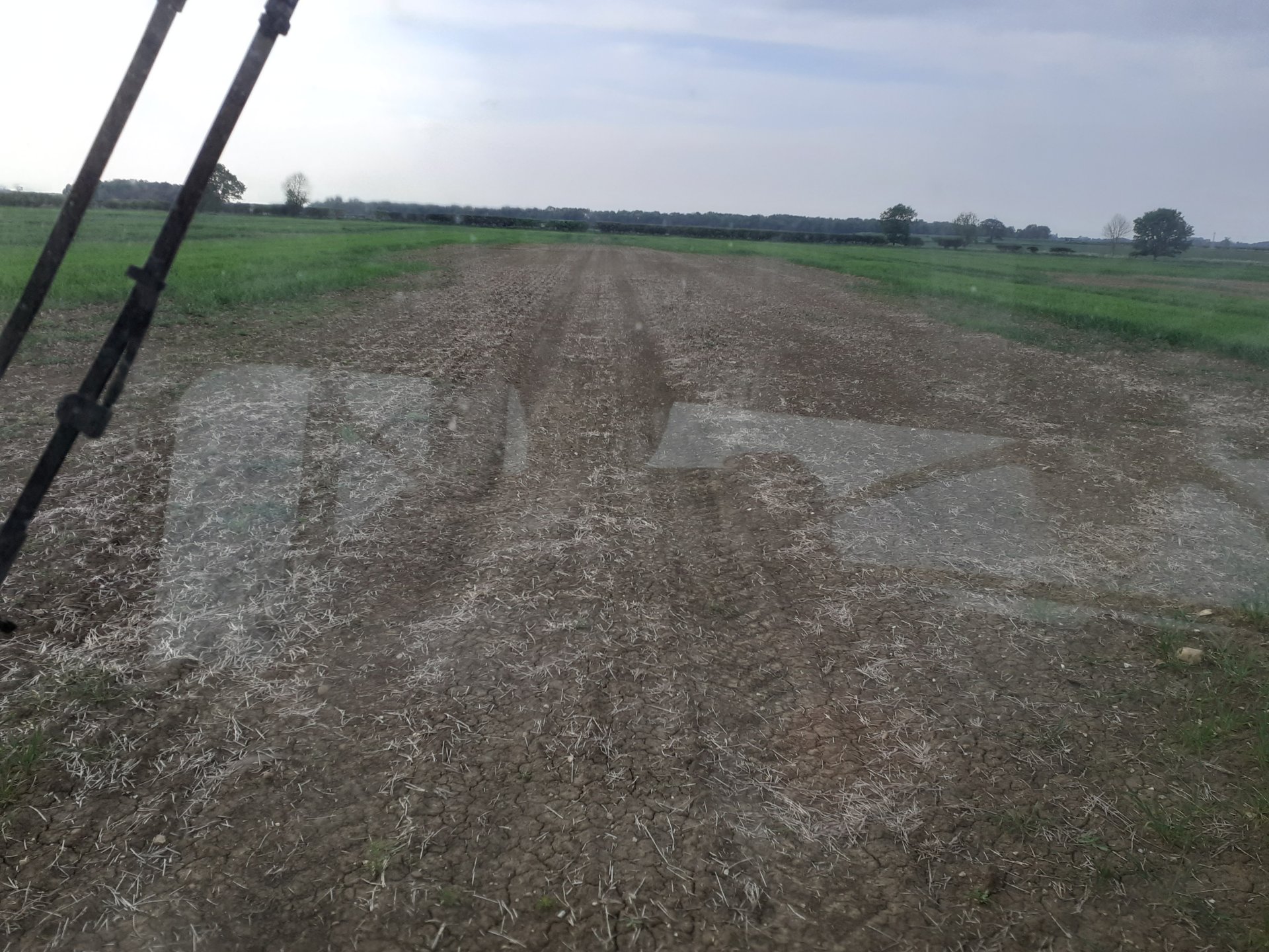 What % of spring crops not planted or destroyed? | The Farming Forum