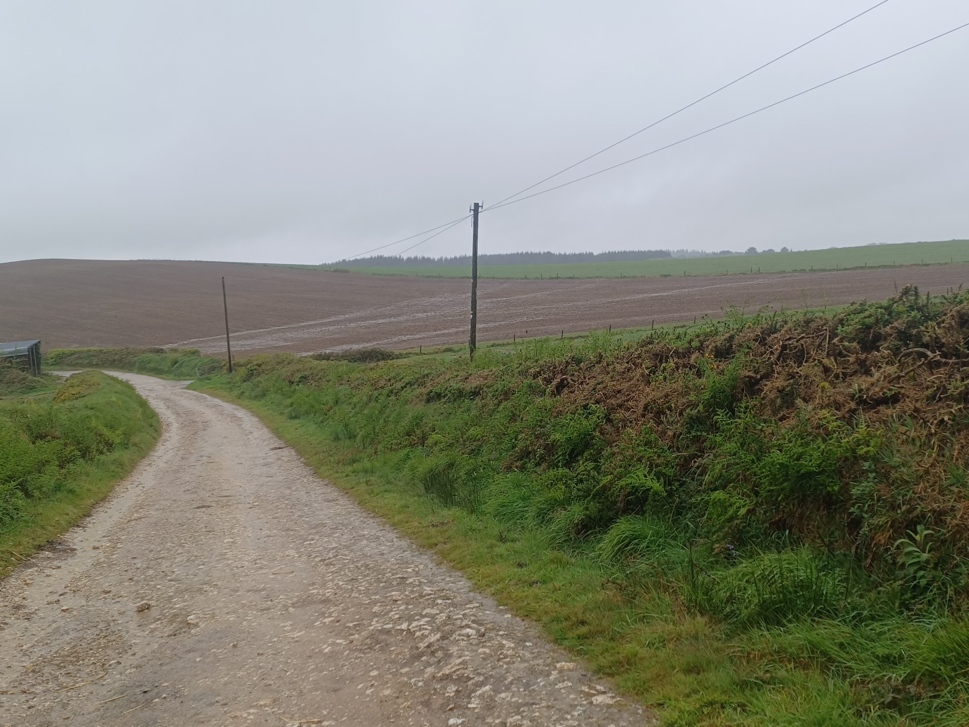 What % of spring crops not planted or destroyed? | Page 2 | The Farming ...