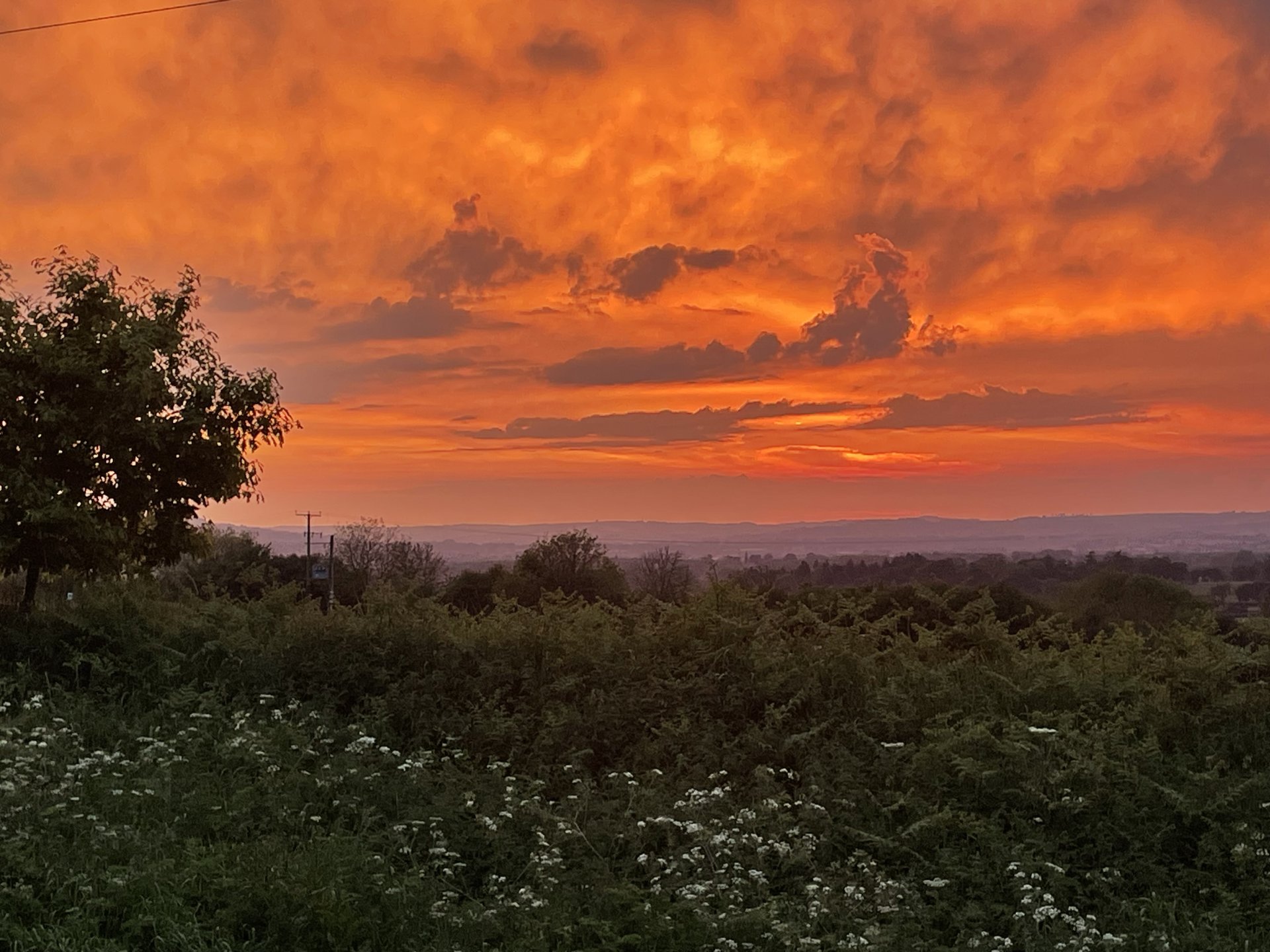 Today at work | Page 7409 | The Farming Forum