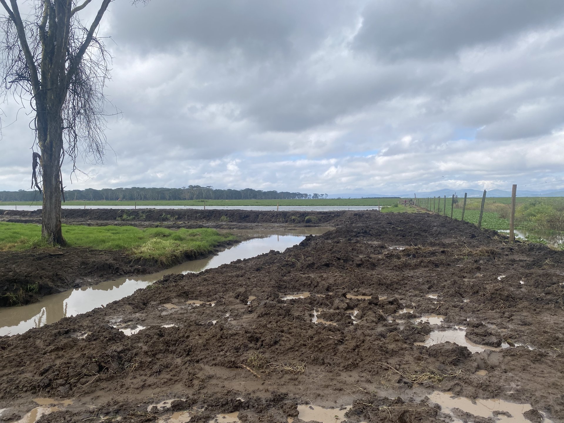 Today at work | Page 7410 | The Farming Forum