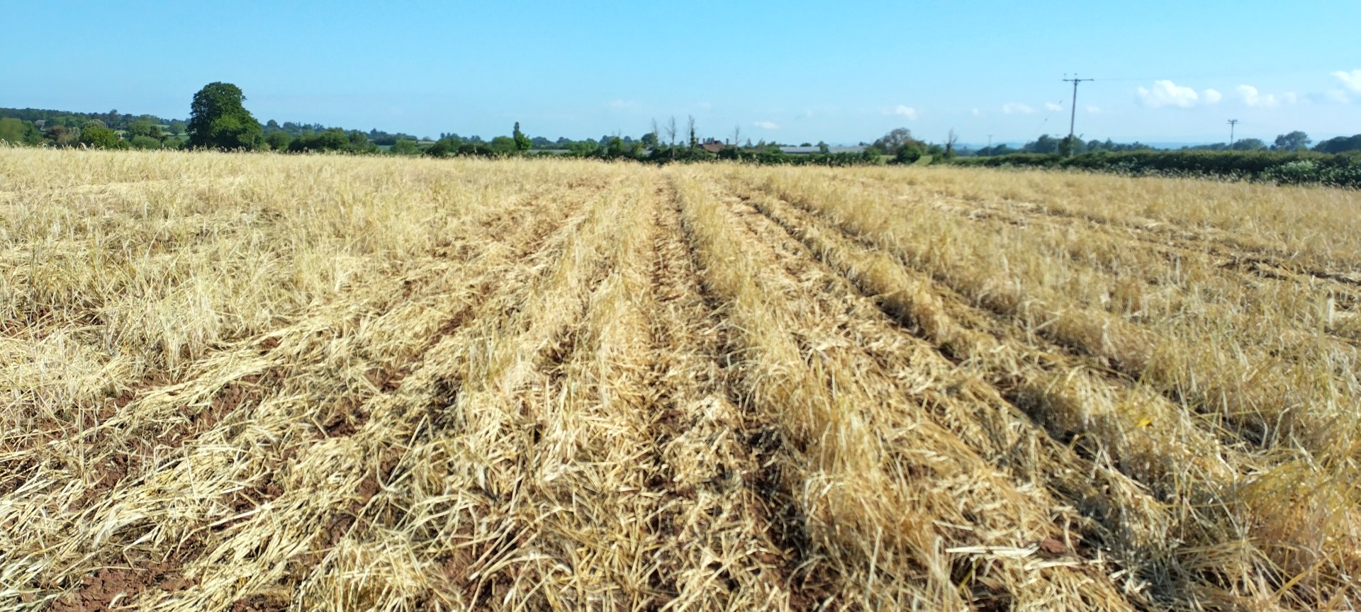 Direct/Strip-till drilling photo gallery | Page 148 | The Farming Forum