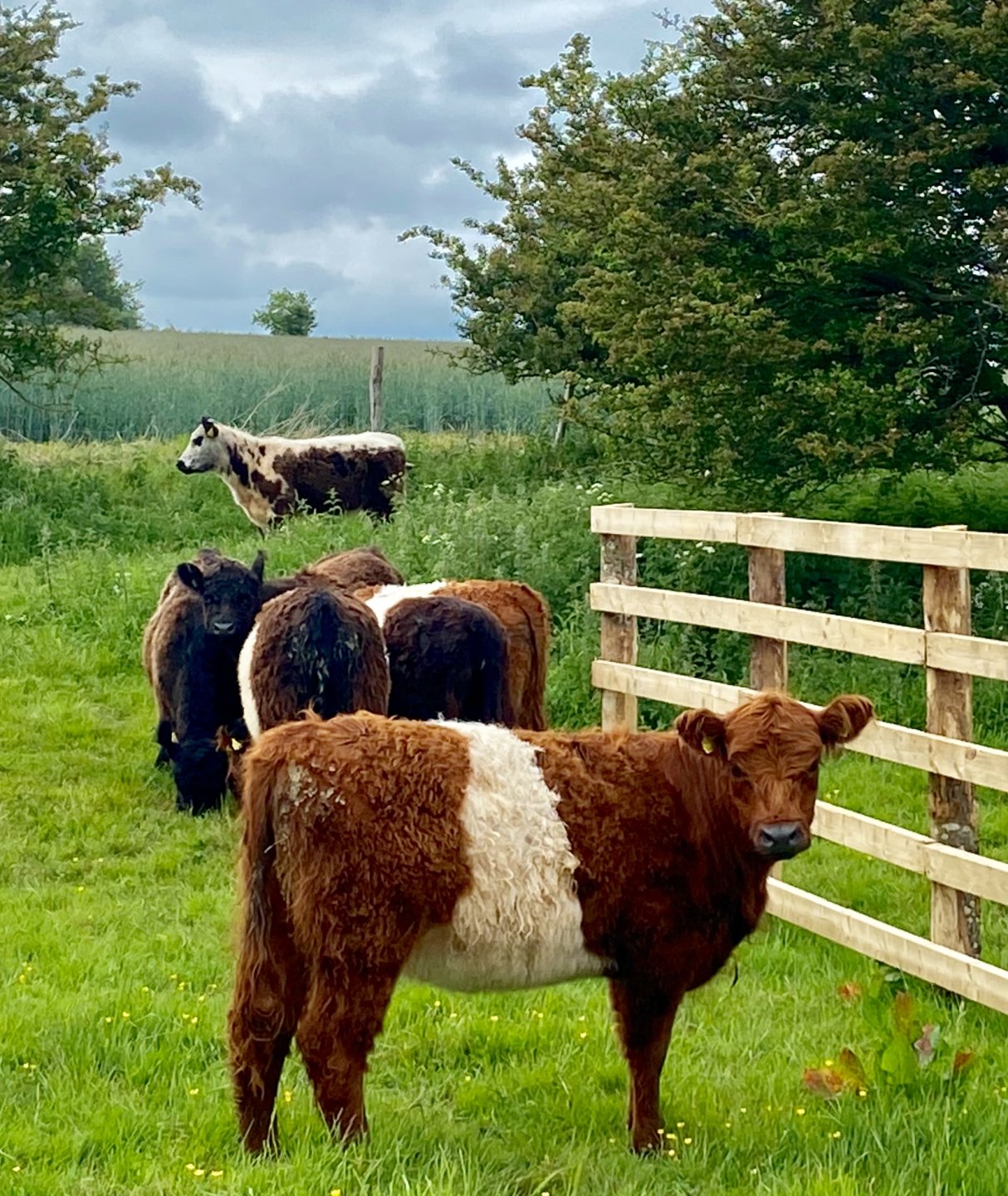 Today at work | Page 7415 | The Farming Forum