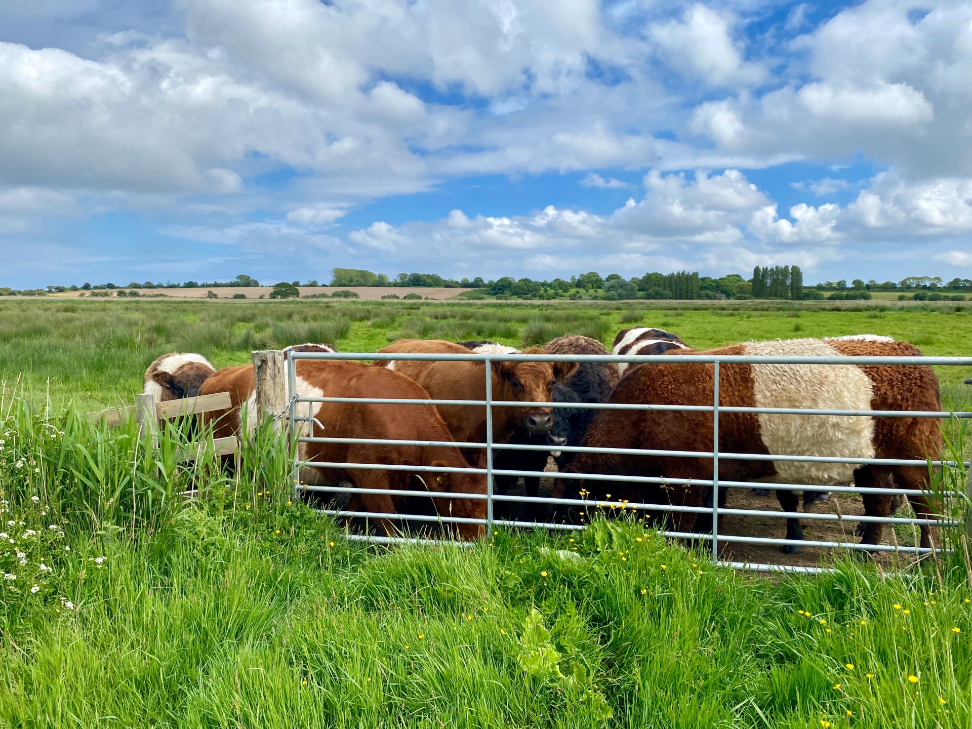 Today at work | Page 7415 | The Farming Forum