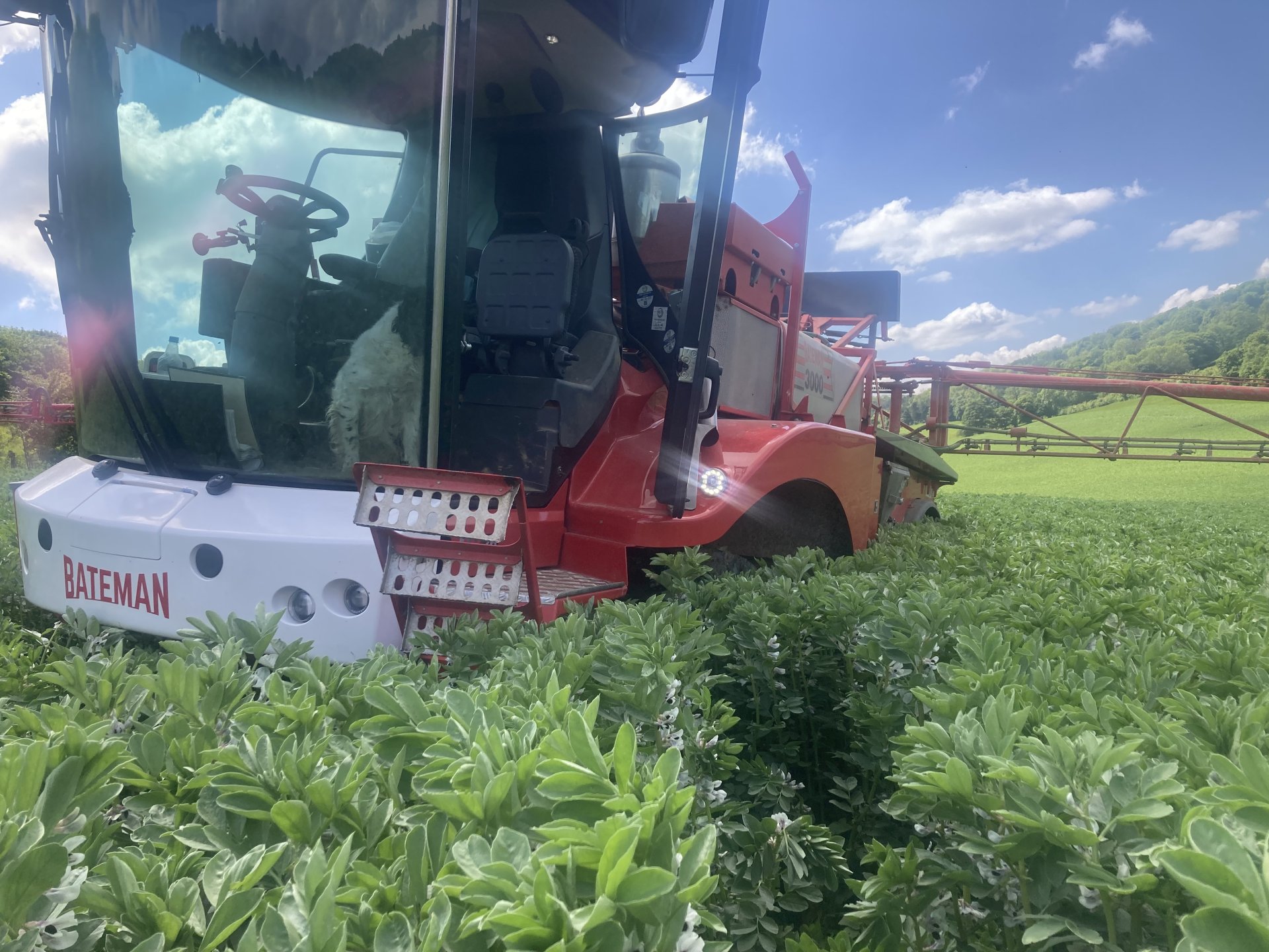 Direct/Strip-till drilling photo gallery | Page 148 | The Farming Forum