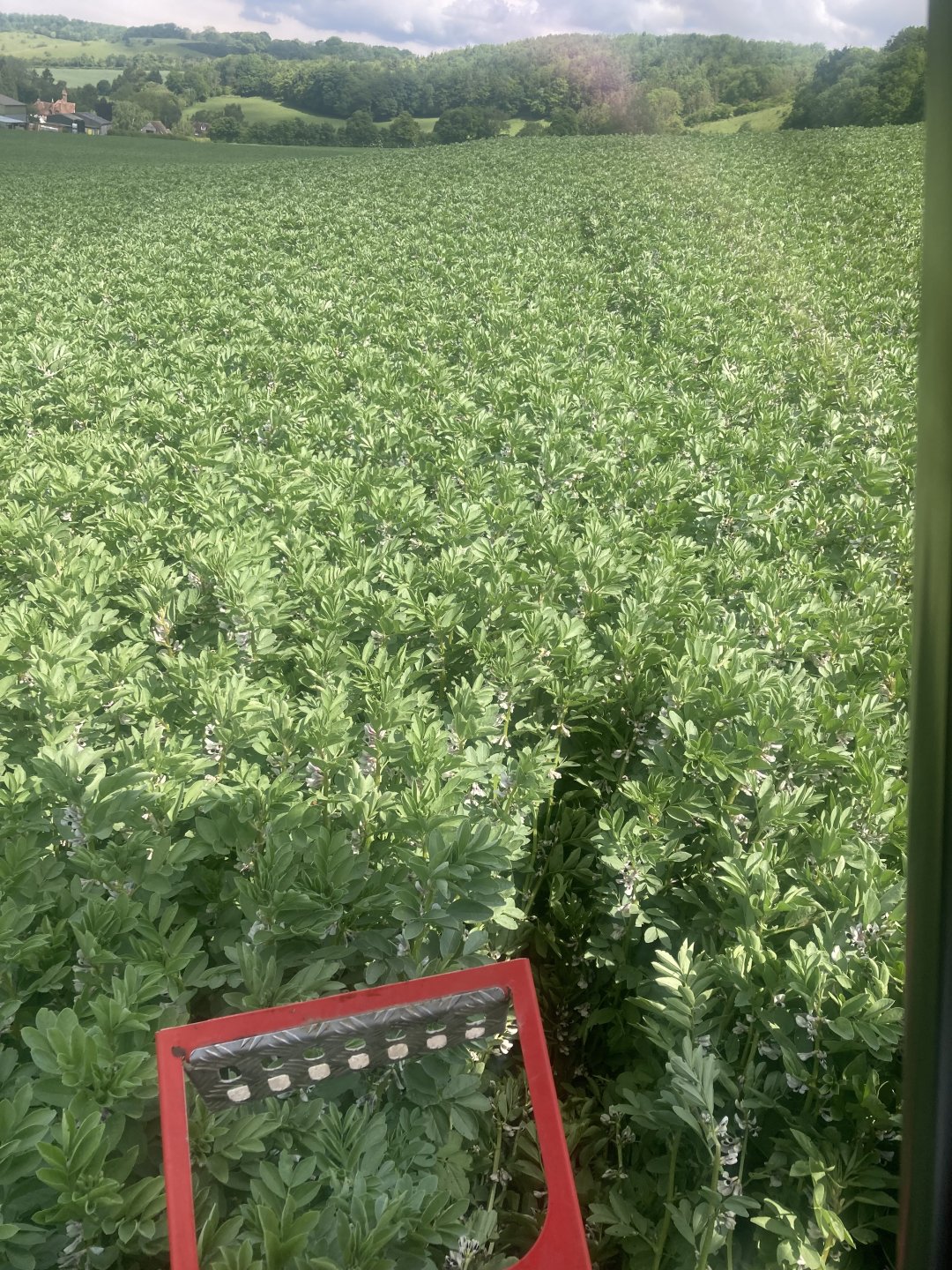 Direct/Strip-till drilling photo gallery | Page 148 | The Farming Forum