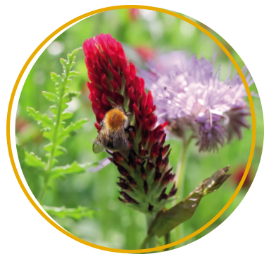 Look beyond headline payments when assessing SFI options | The Farming ...