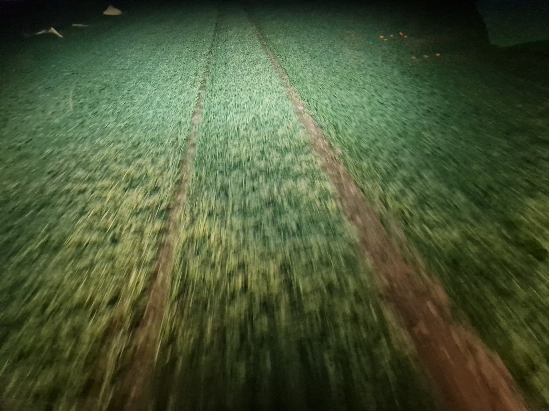 Gone's random pictures | Page 4 | The Farming Forum