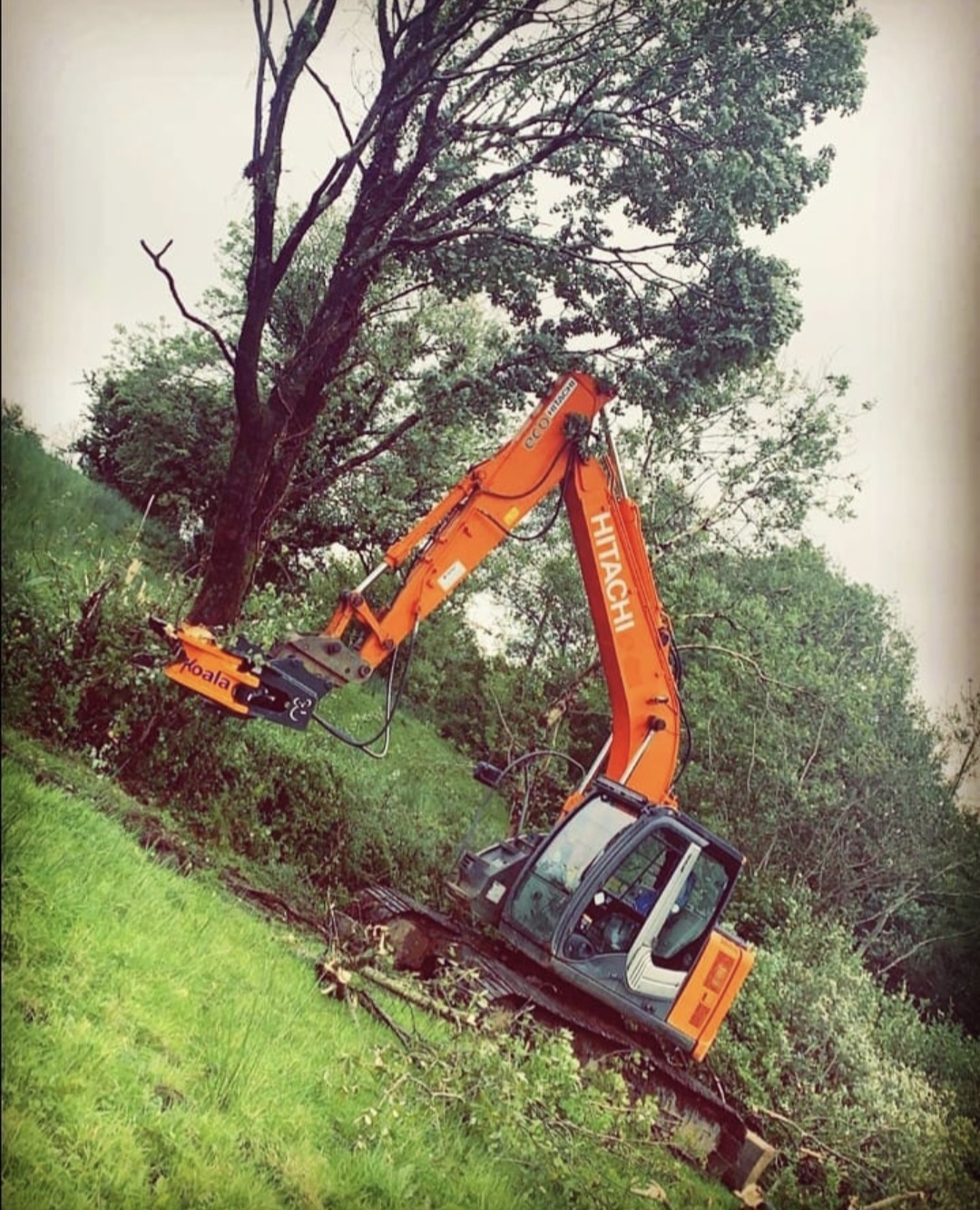 Tree shear for 7.5t digger - is it worth it? | Page 11 | The Farming Forum