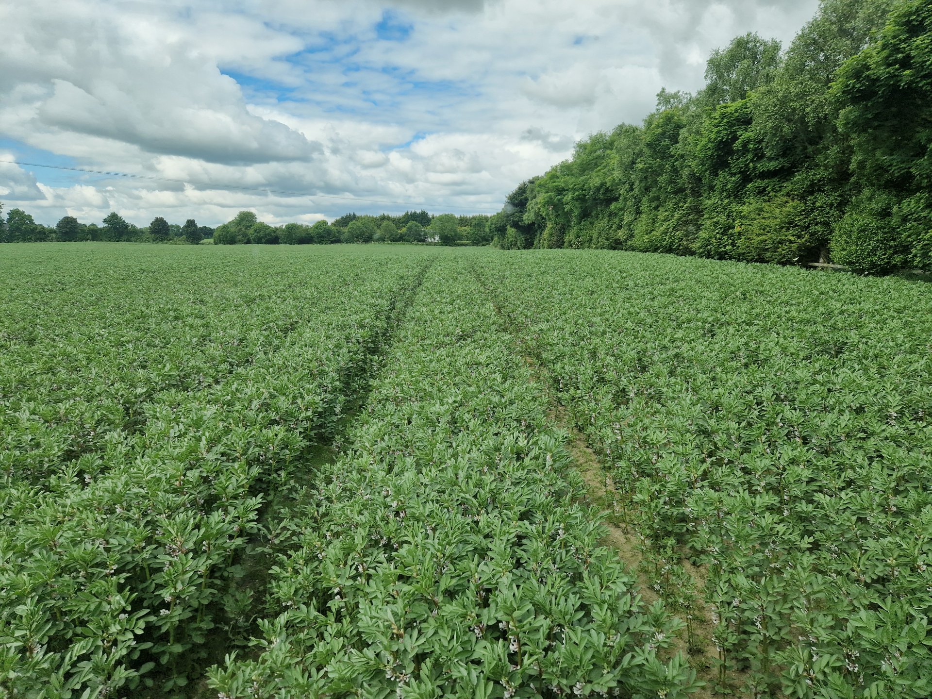 Gone's random pictures | Page 4 | The Farming Forum