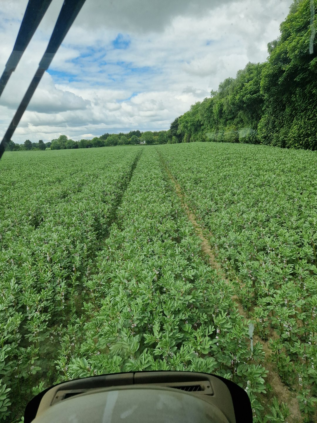 Gone's random pictures | Page 4 | The Farming Forum