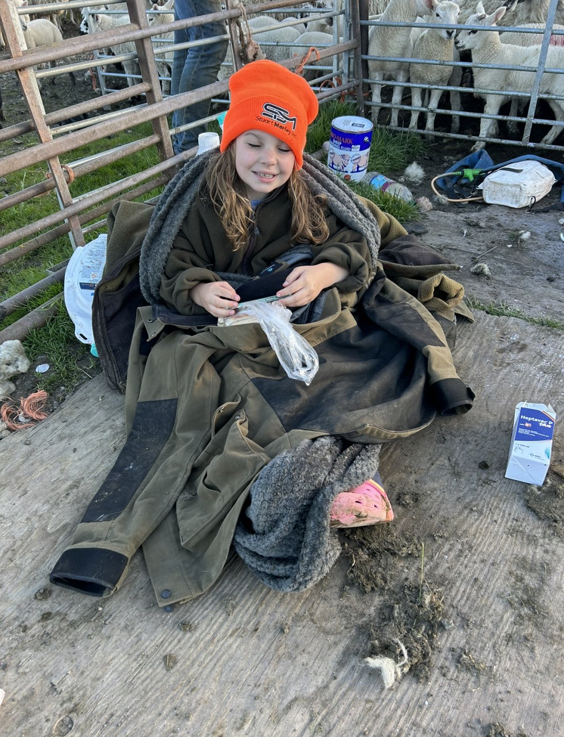 That backend feel | Page 14 | The Farming Forum