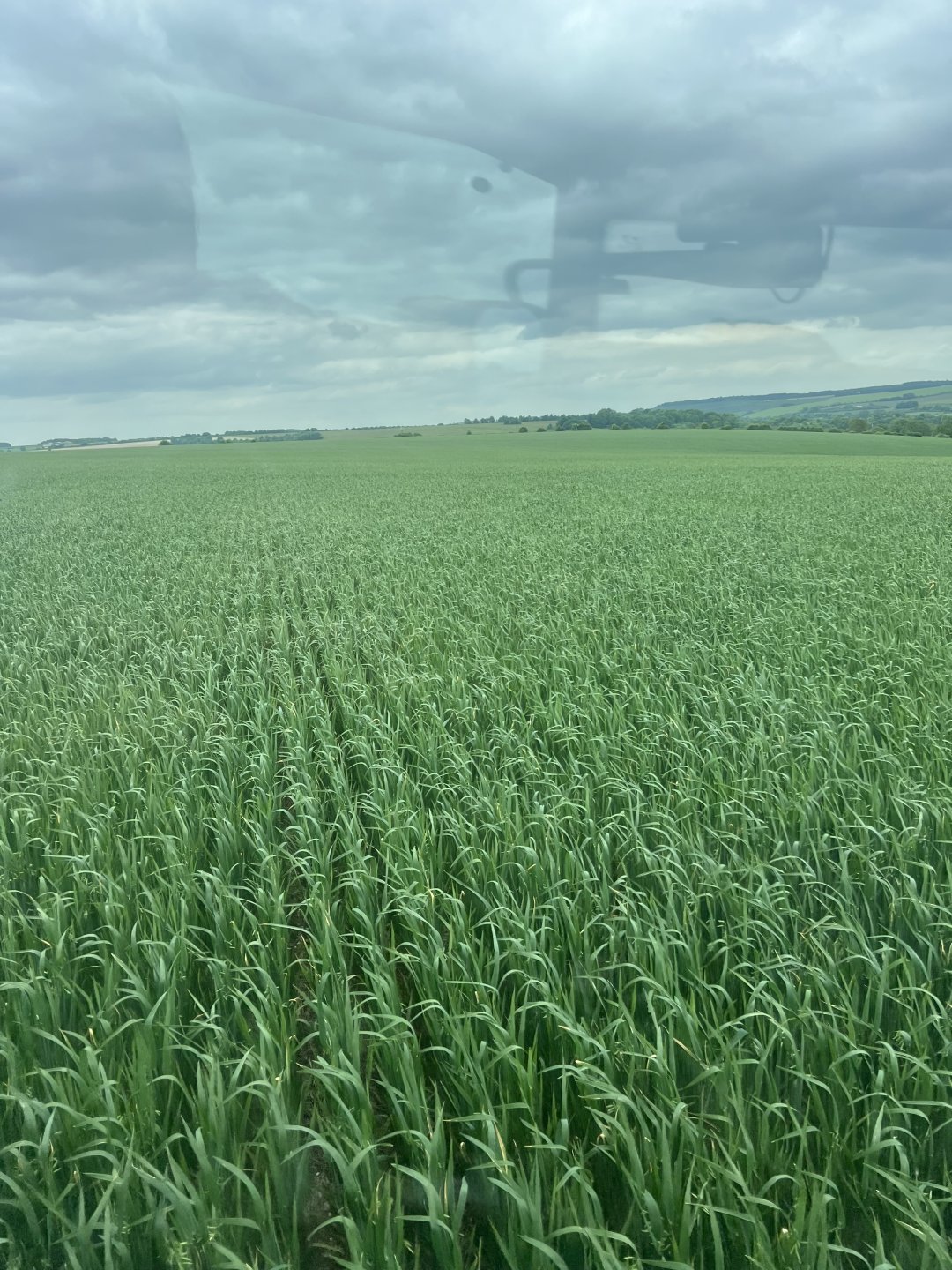 Isabel spring oats | Page 4 | The Farming Forum
