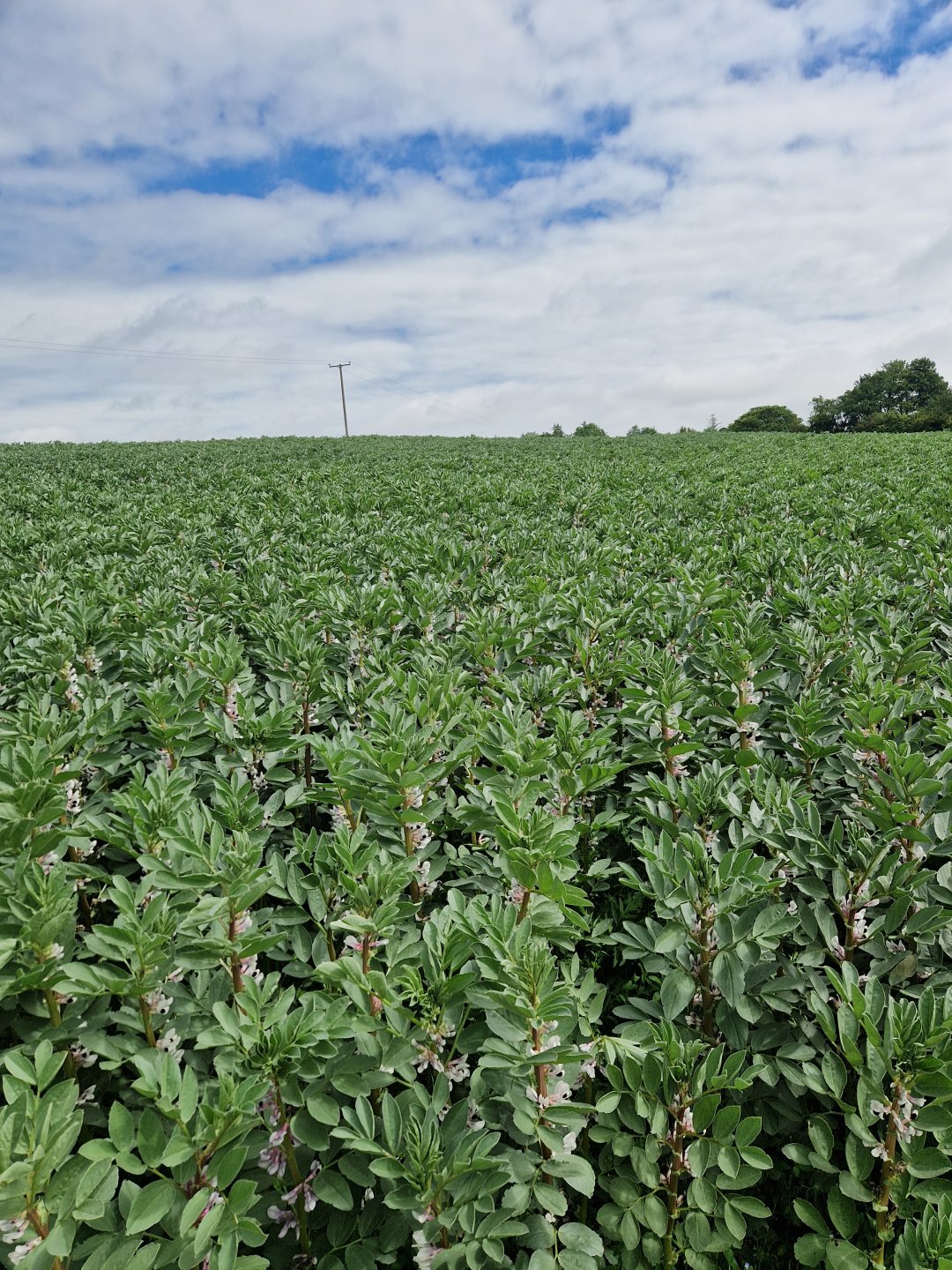 Gone's random pictures | Page 4 | The Farming Forum