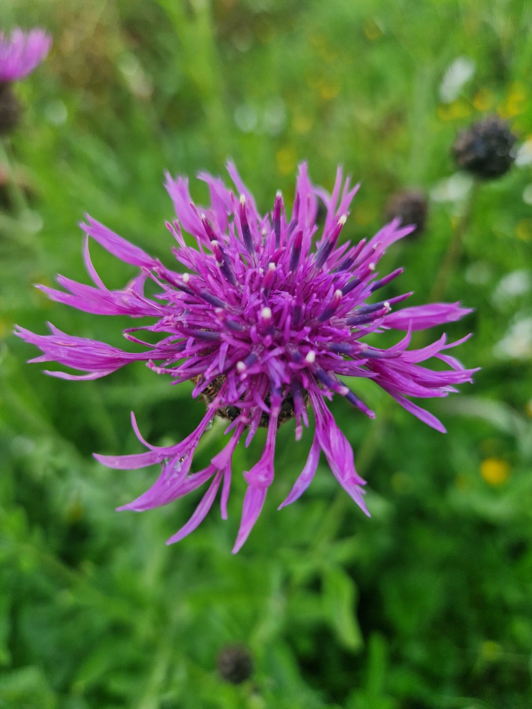 Gone's random pictures | Page 4 | The Farming Forum