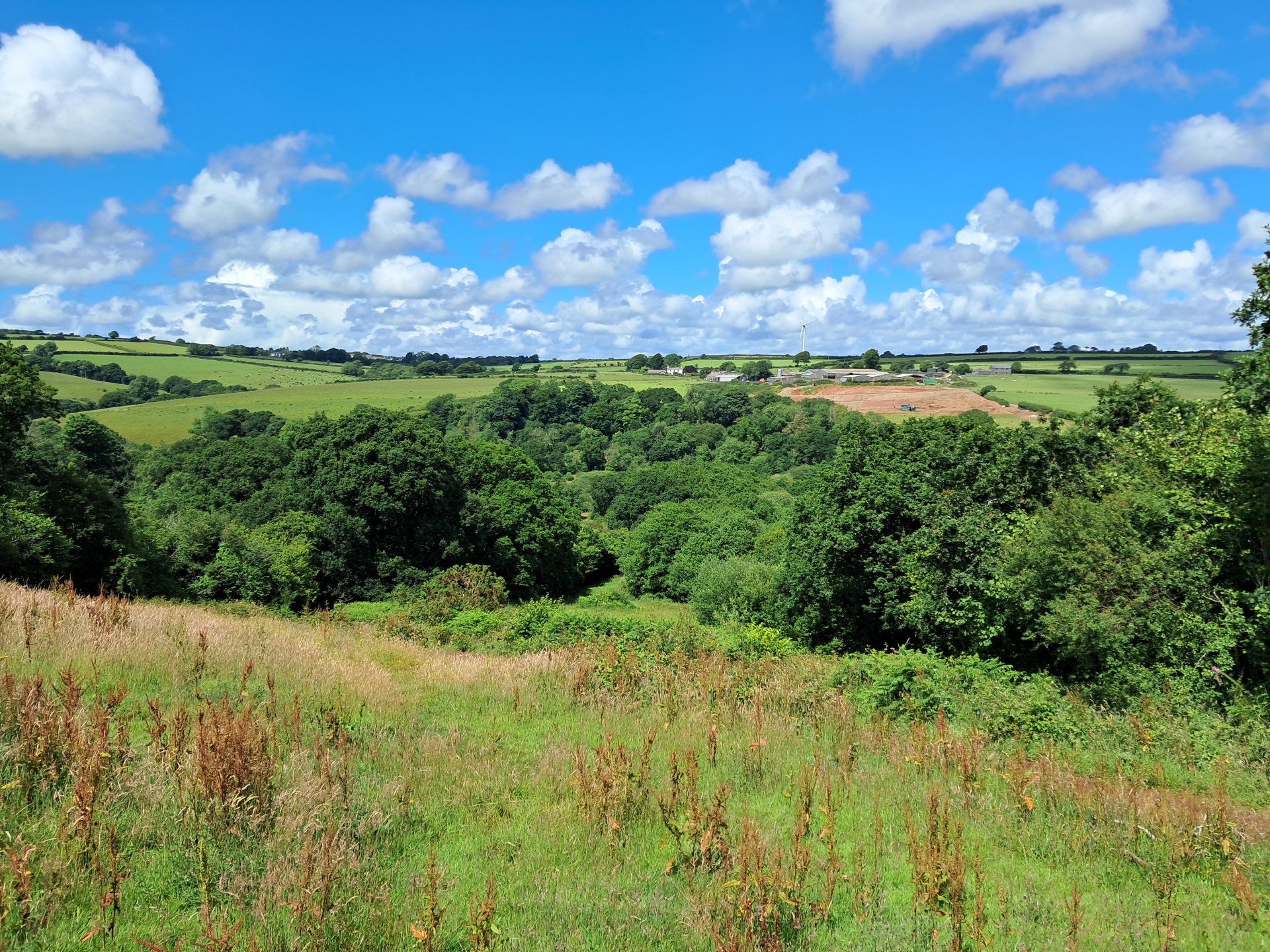 ]How to improve and get the most from my small parcel of land | The ...