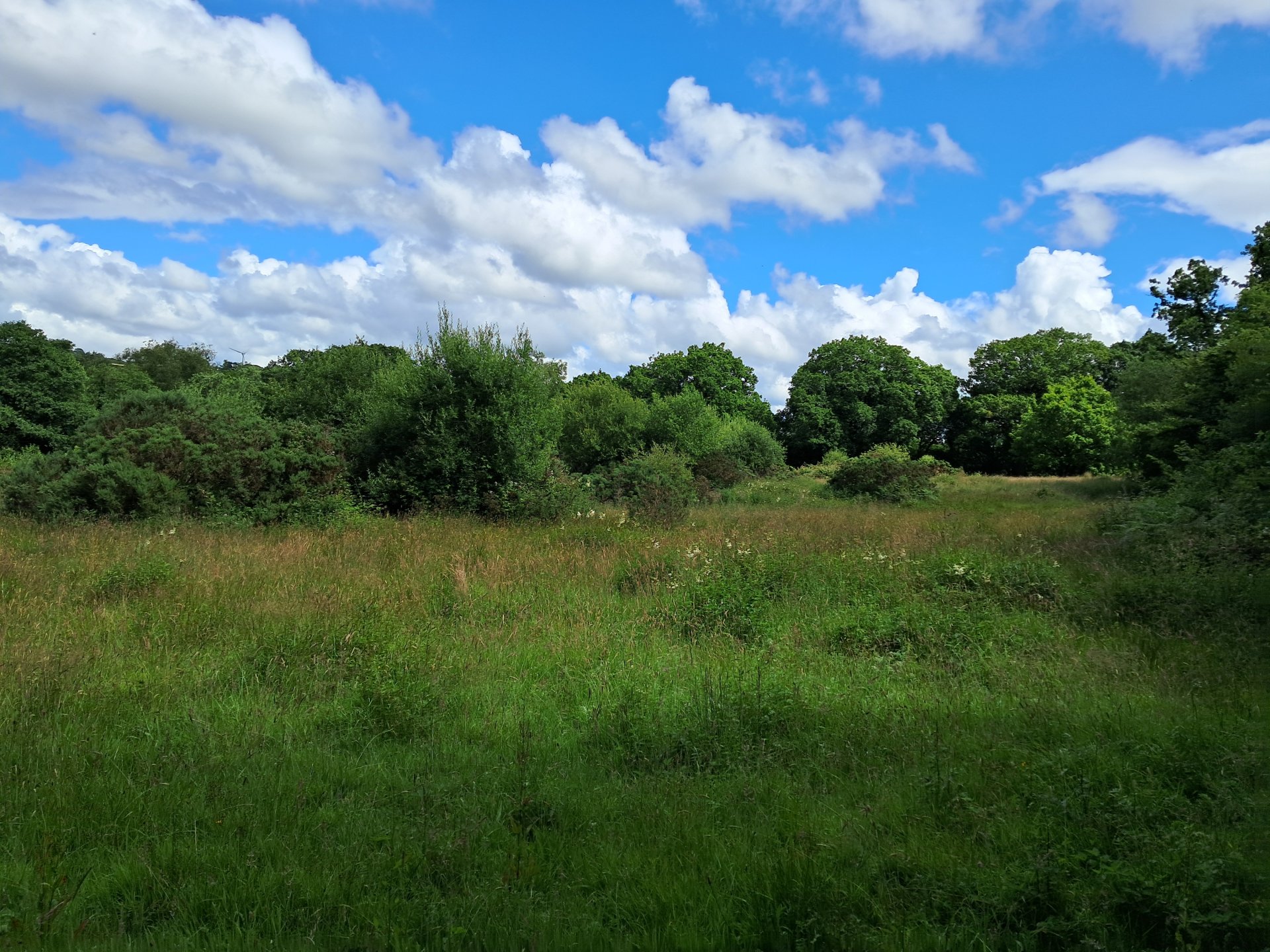 ]How to improve and get the most from my small parcel of land | The ...