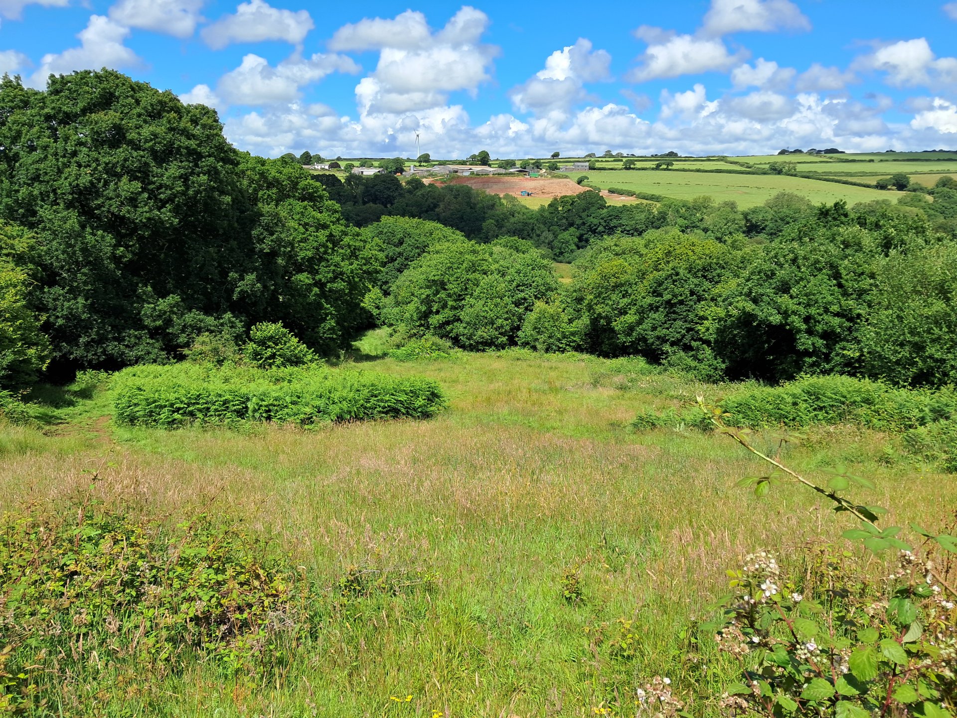 ]How to improve and get the most from my small parcel of land | The ...