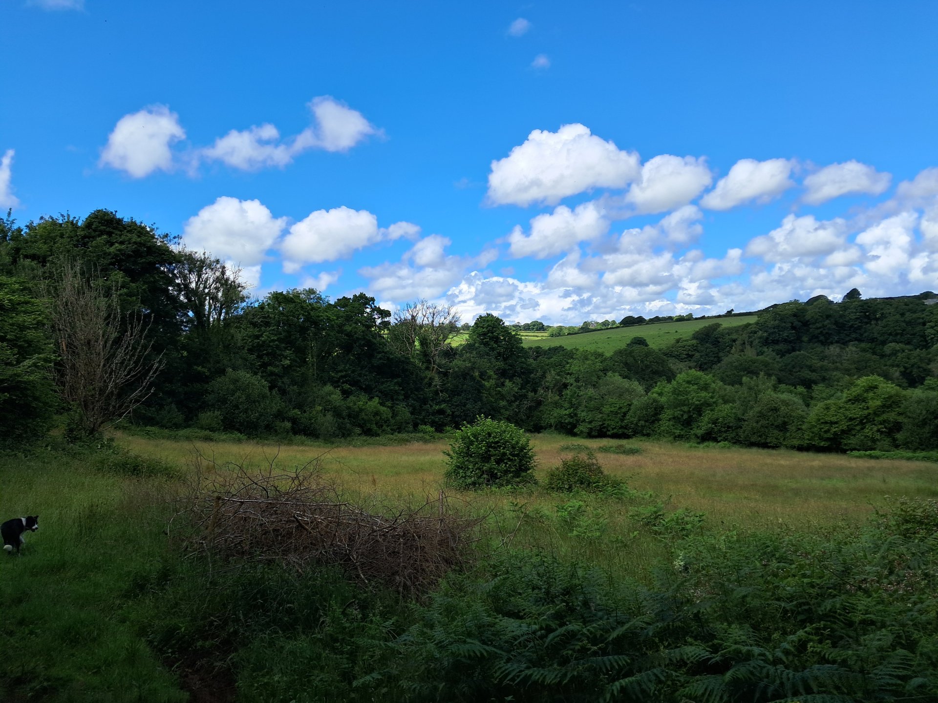 ]How to improve and get the most from my small parcel of land | The ...