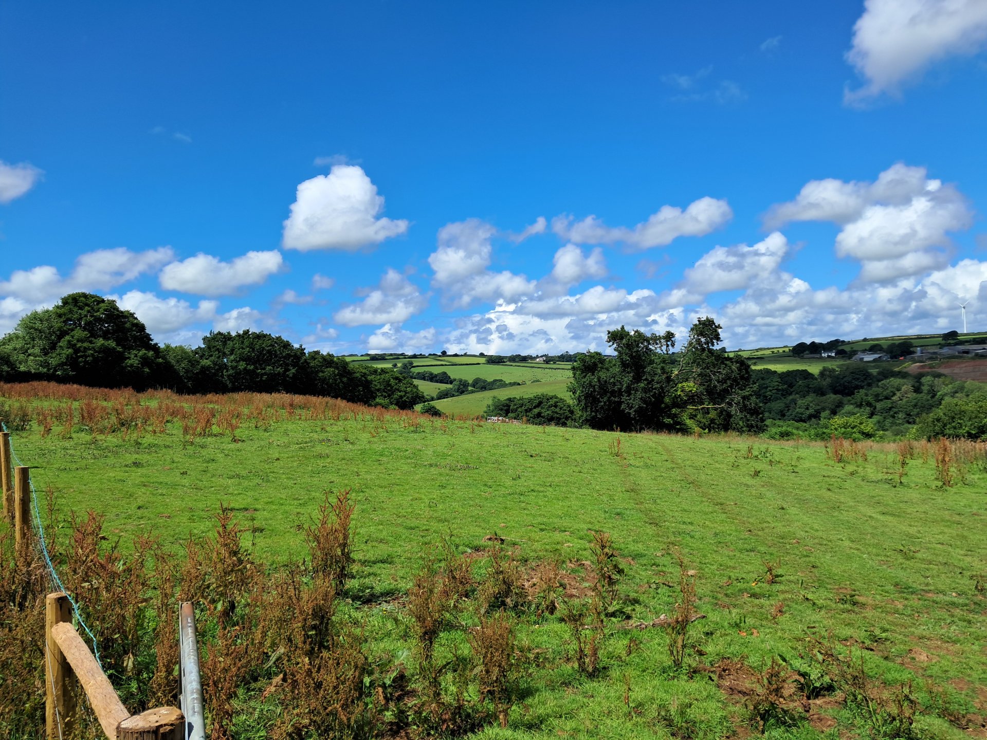 ]How to improve and get the most from my small parcel of land | The ...